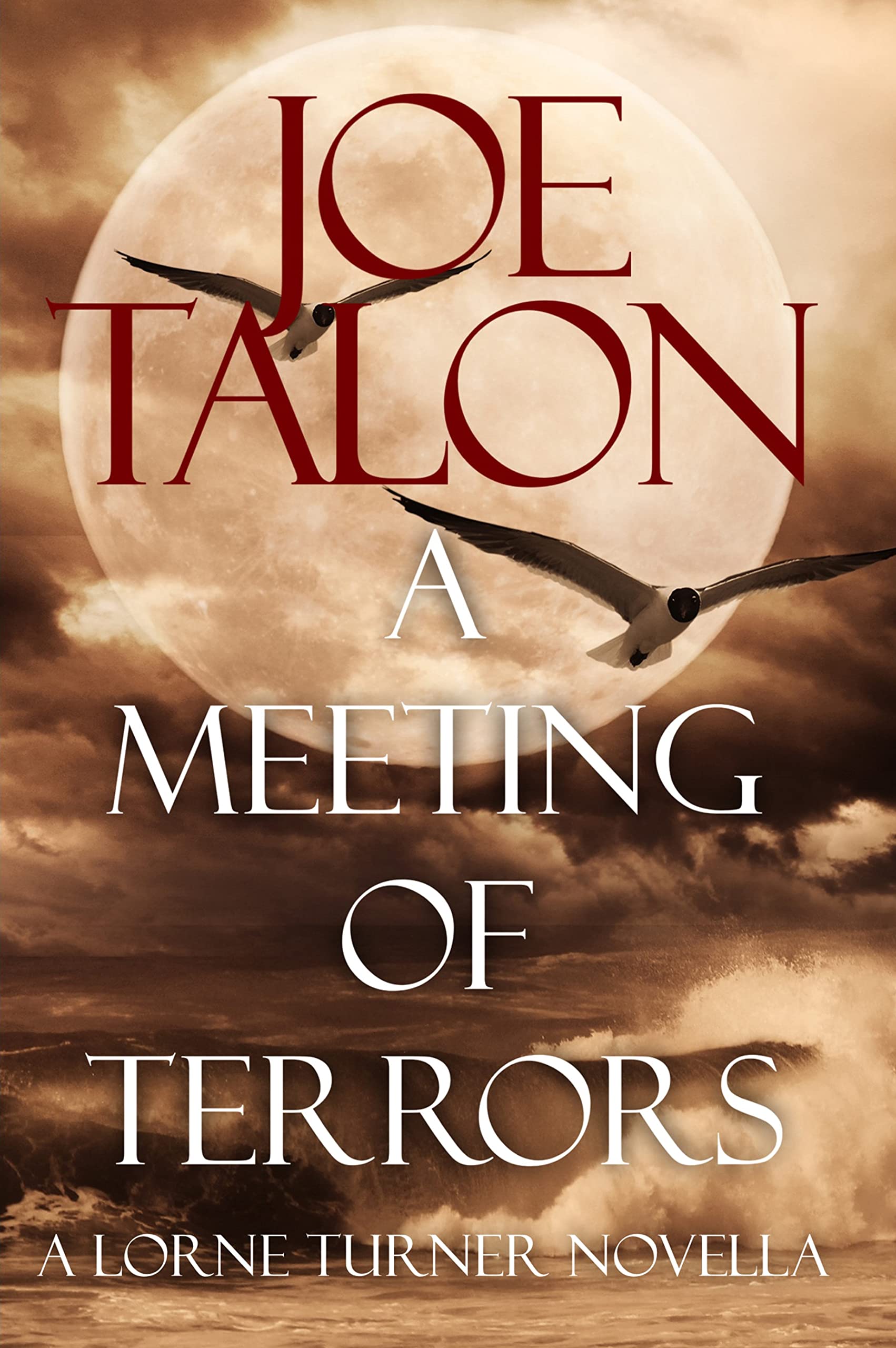 A Meeting of Terrors: An Exmoor Ghost Story: A Lorne Turner Novella by ...