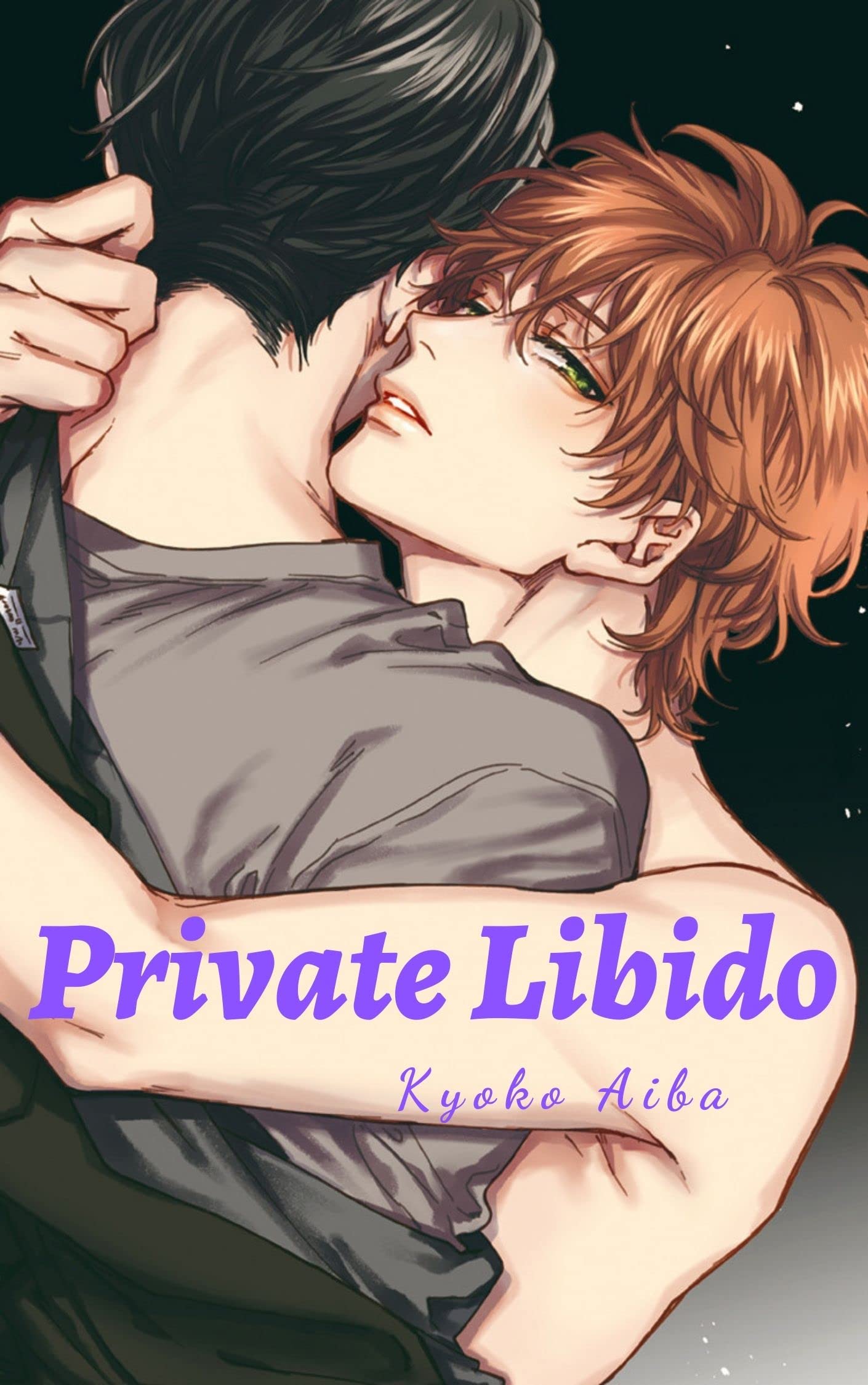 Private Libido (English Version): Yaoi manga by Kyoko Aiba | Goodreads