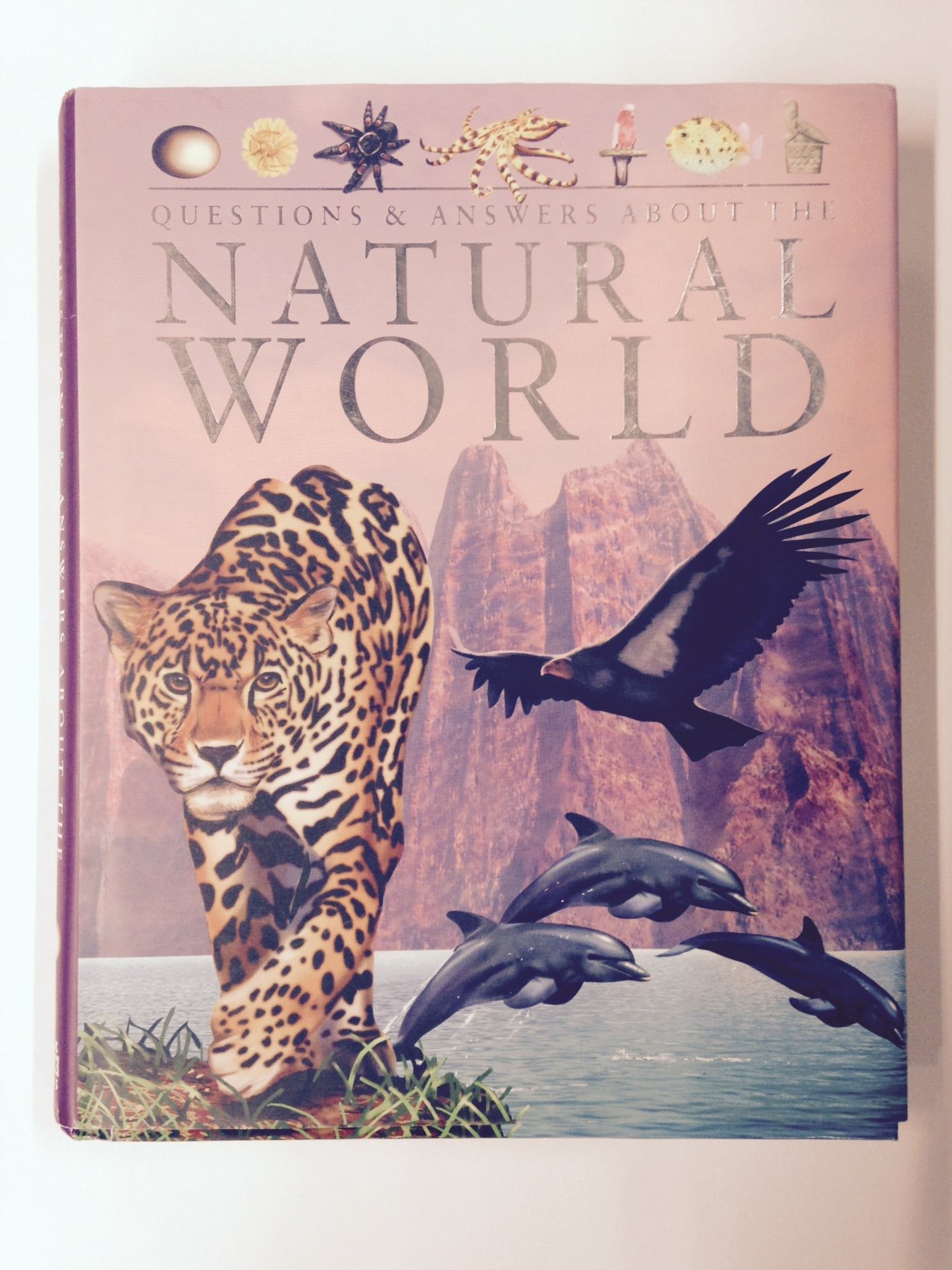 Questions & Answers About the Natural World by Anita et al Ganeri ...