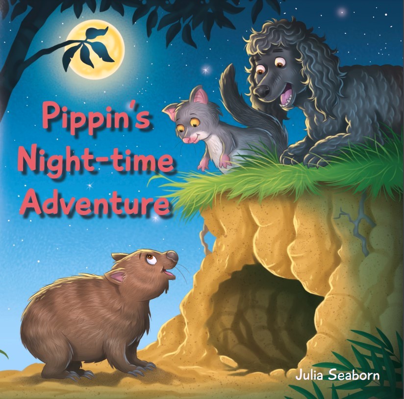 Pippin's Night-time Adventure by Julia Seaborn | Goodreads
