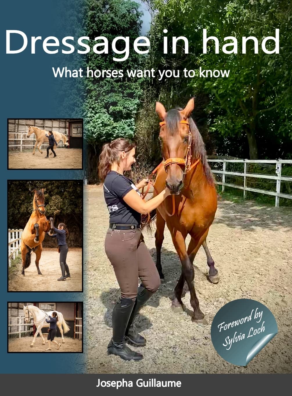 Dressage in hand: What horses want you to know by Josepha Guillaume ...