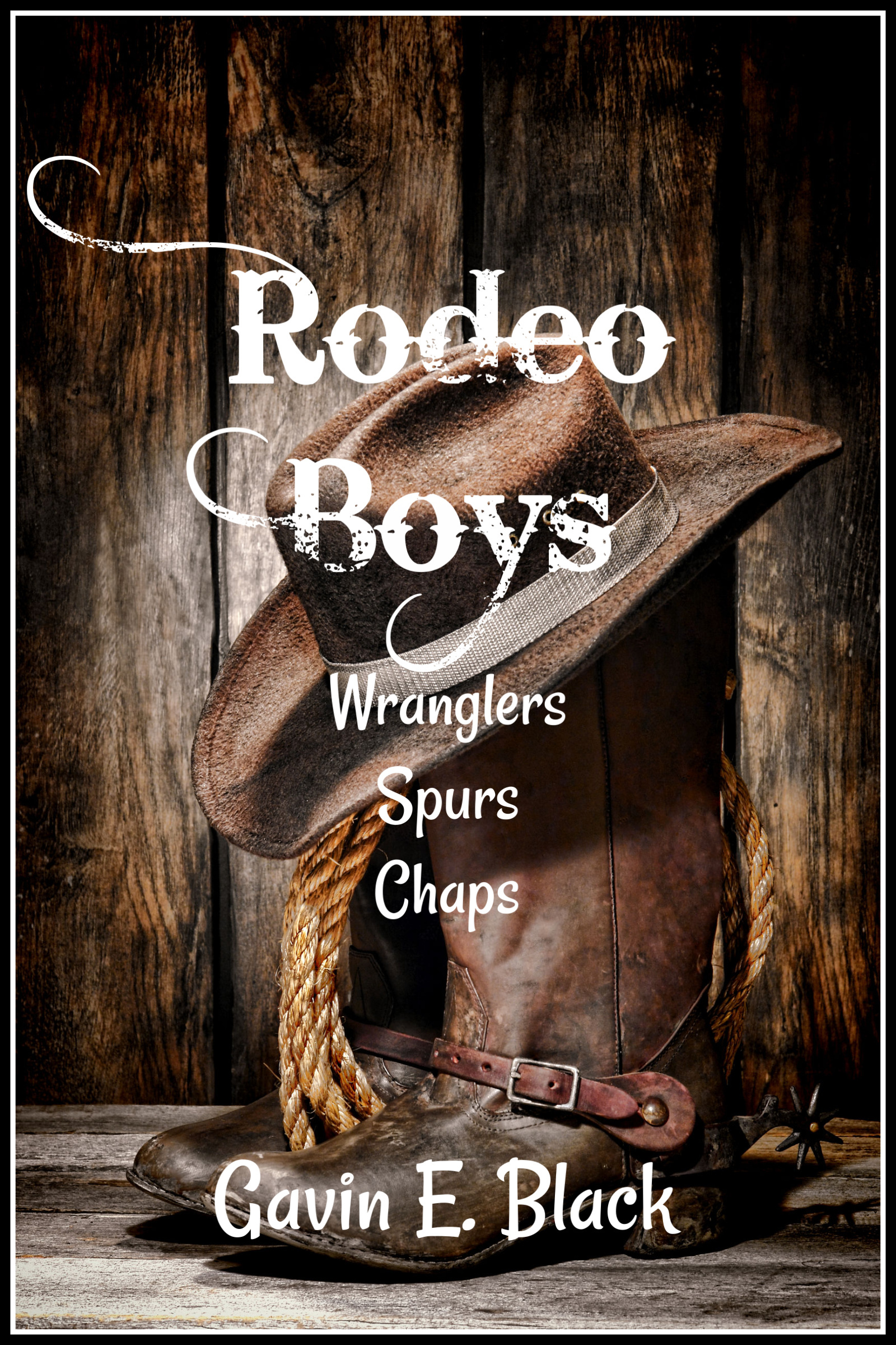 Rodeo Boys Bundle by Gavin E. Black | Goodreads