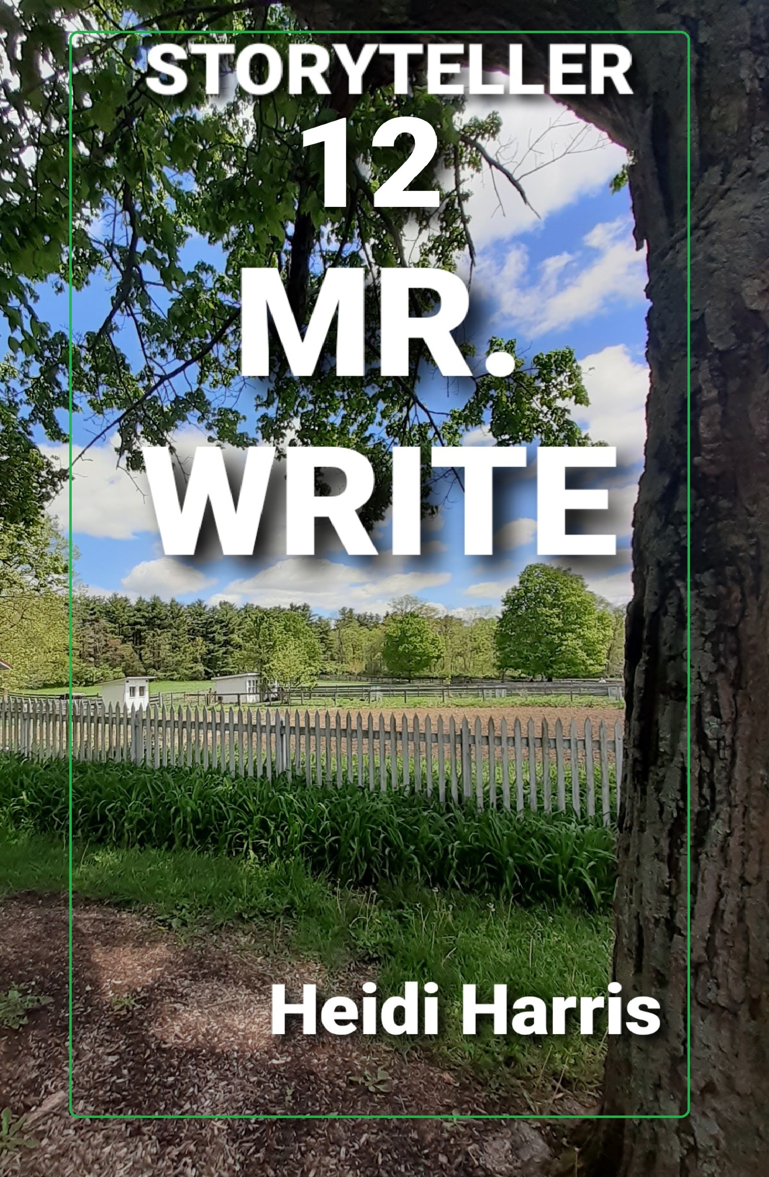 Mr. Write (Storyteller #12) by Heidi Harris | Goodreads