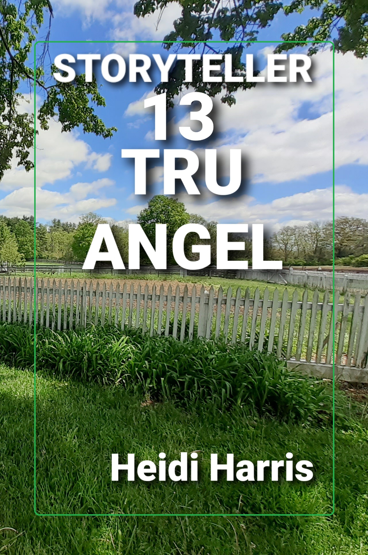 Tru Angel (Storyteller #13) by Heidi Harris | Goodreads