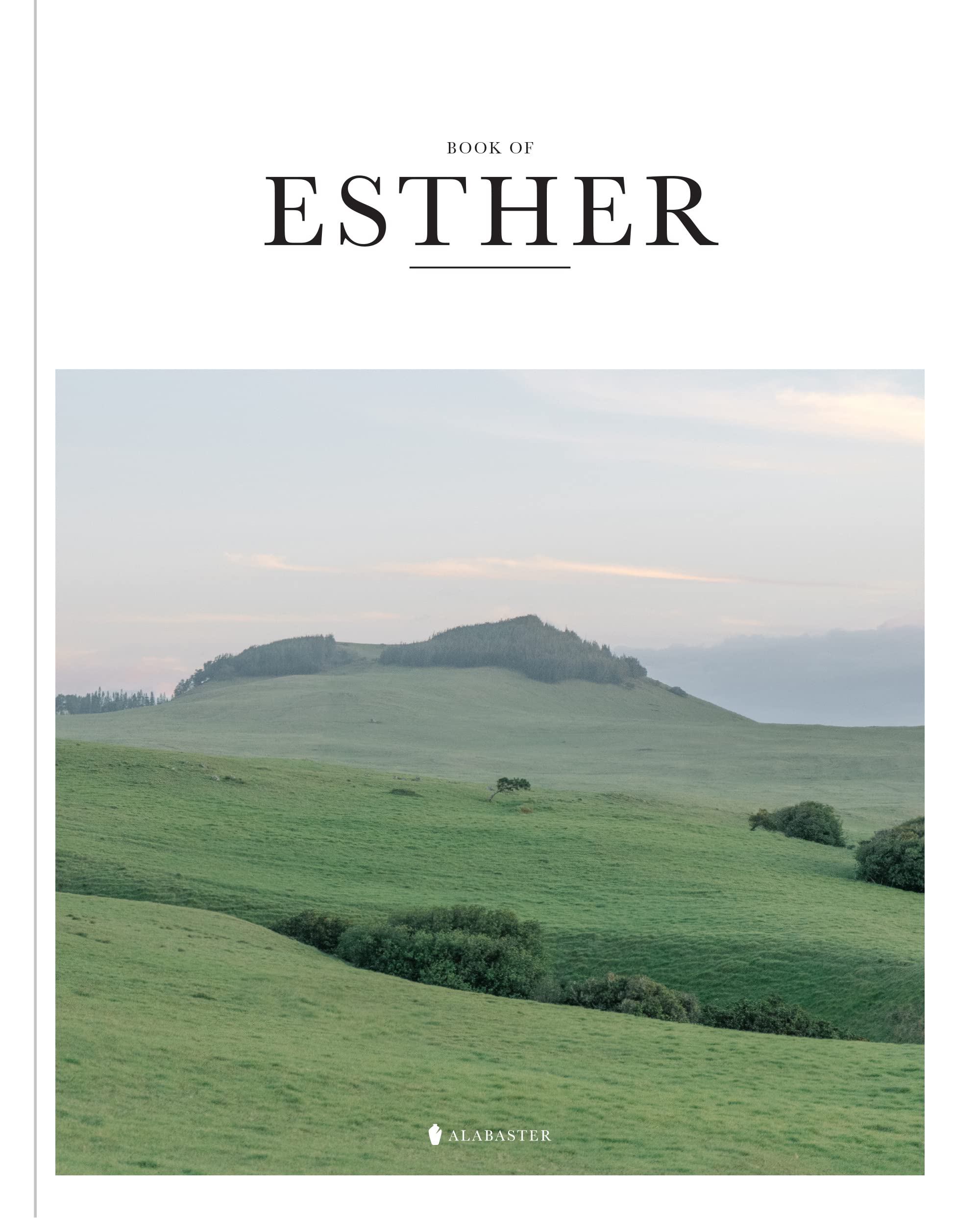 Book of Esther - Alabaster Bible by Alabaster Co. | Goodreads