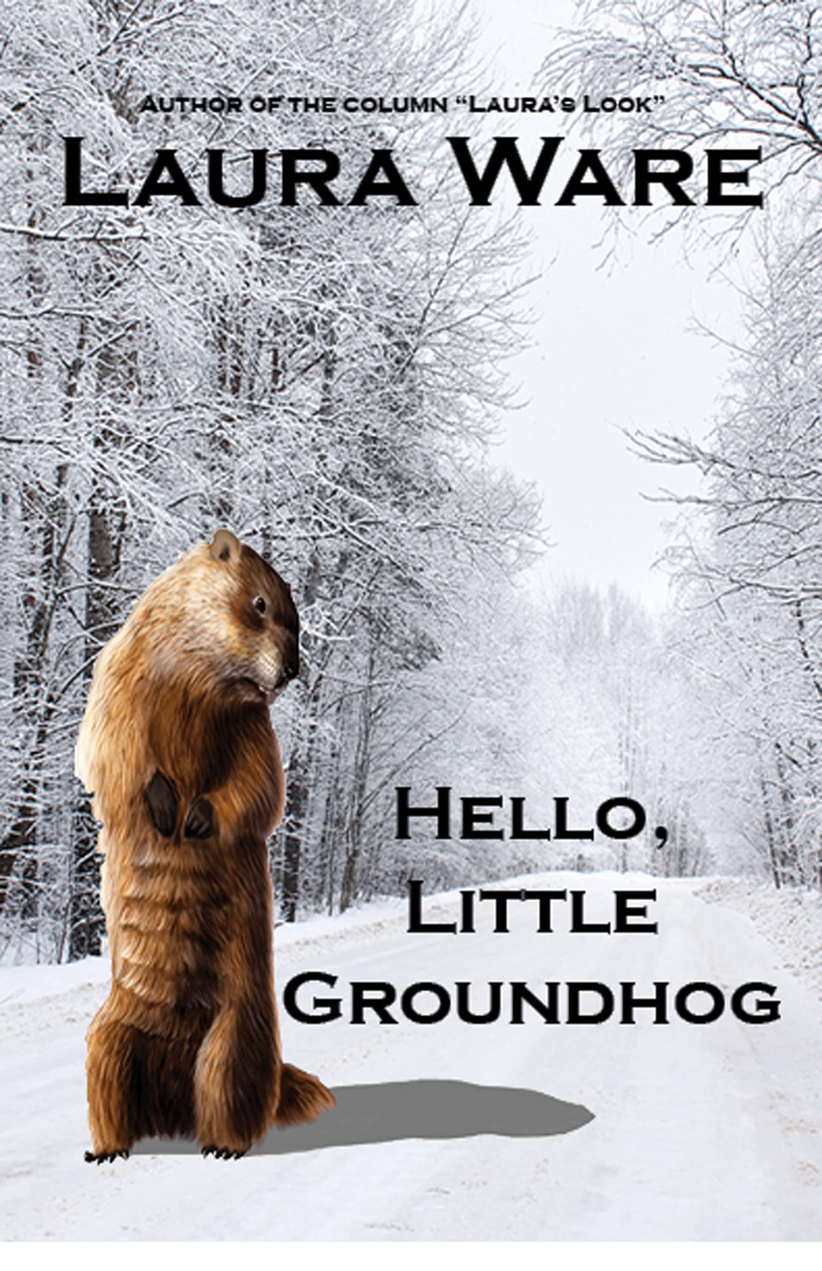 Hello, Little Groundhog by Laura Ware | Goodreads
