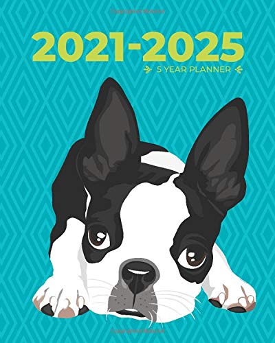 2021-2025 Five Year Planner | Adorable Boston Terrier on Blue: Monthly ...