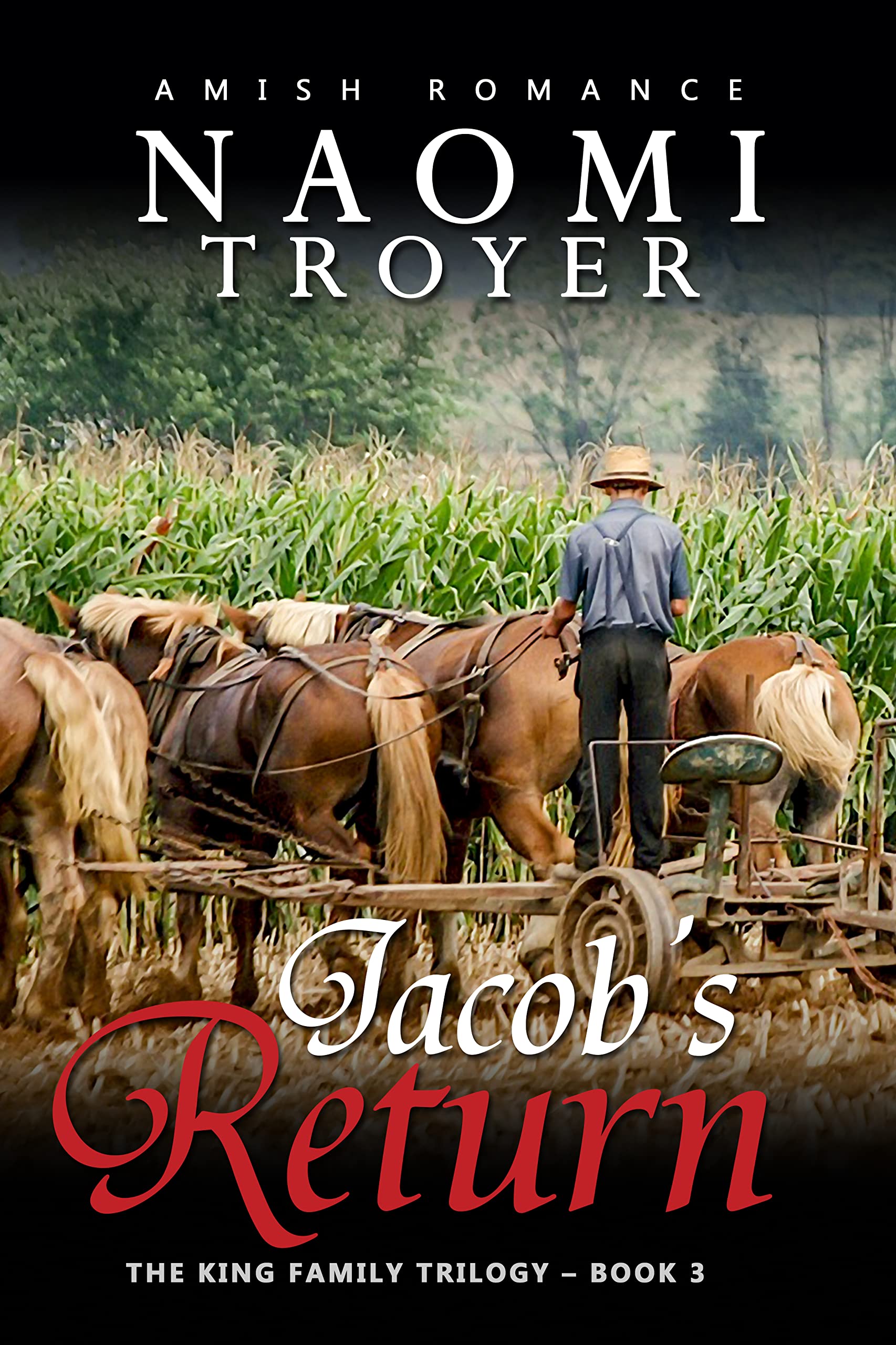 Jacob's Return: The King Family Trilogy - Book 3 by Naomi Troyer ...