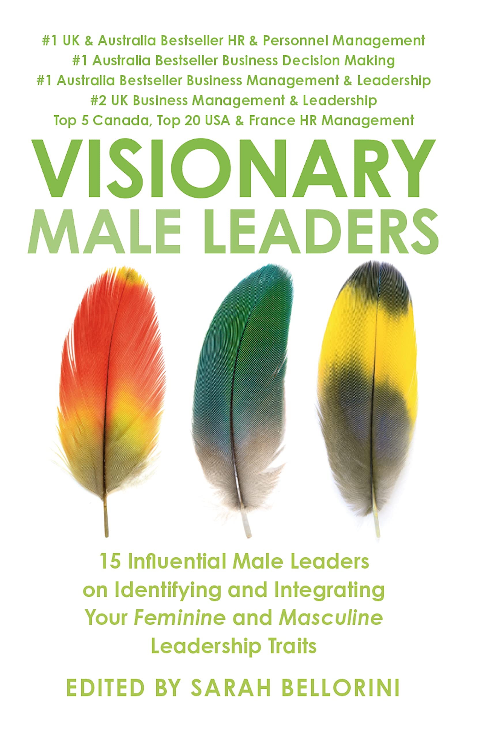 Visionary Male Leaders by Sarah Bellorini | Goodreads