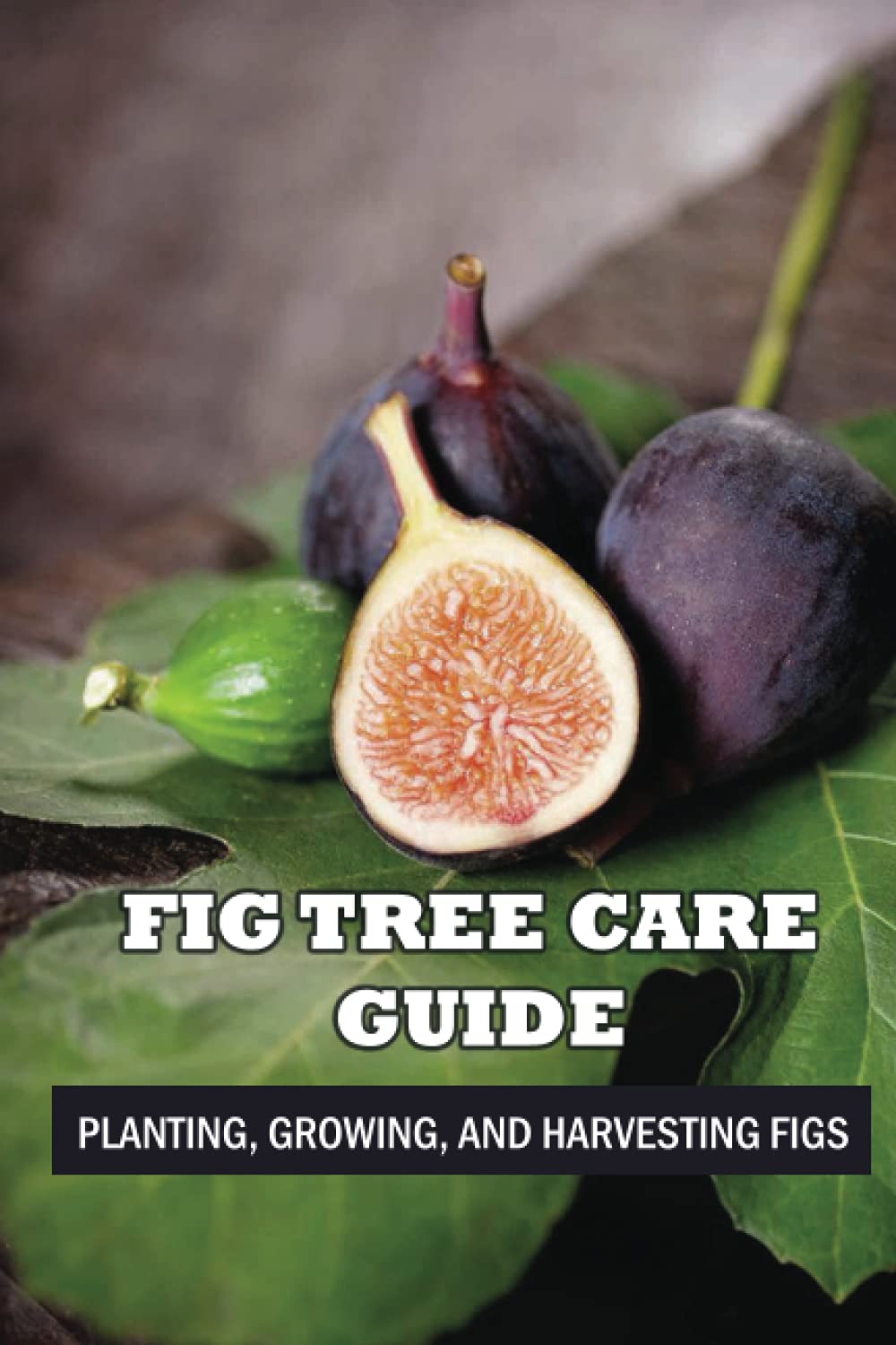 Fig Tree Care Guide: Planting, Growing, And Harvesting Figs: Keeping ...