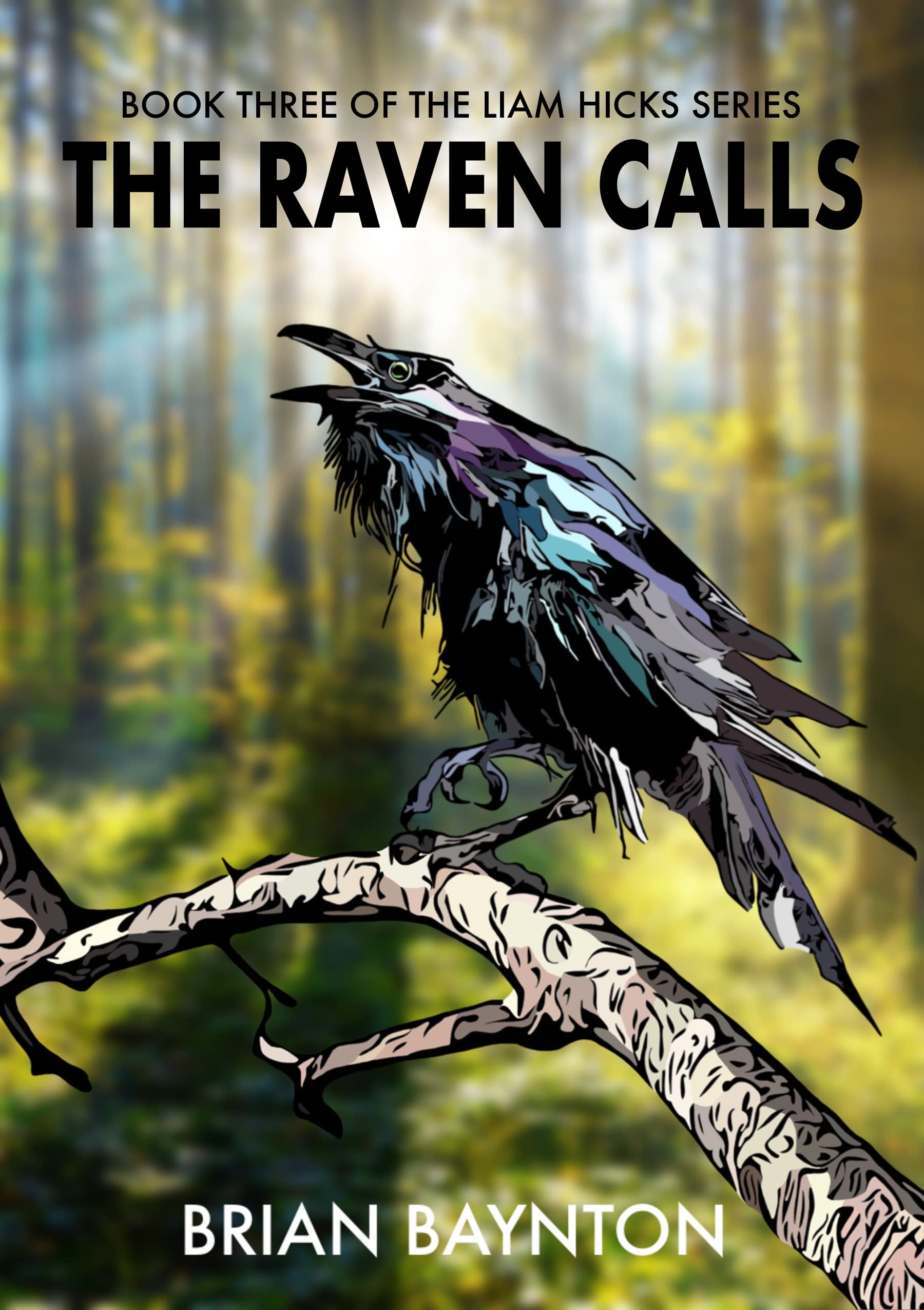 The Raven Calls (Liam Hicks #3) by Brian Baynton | Goodreads