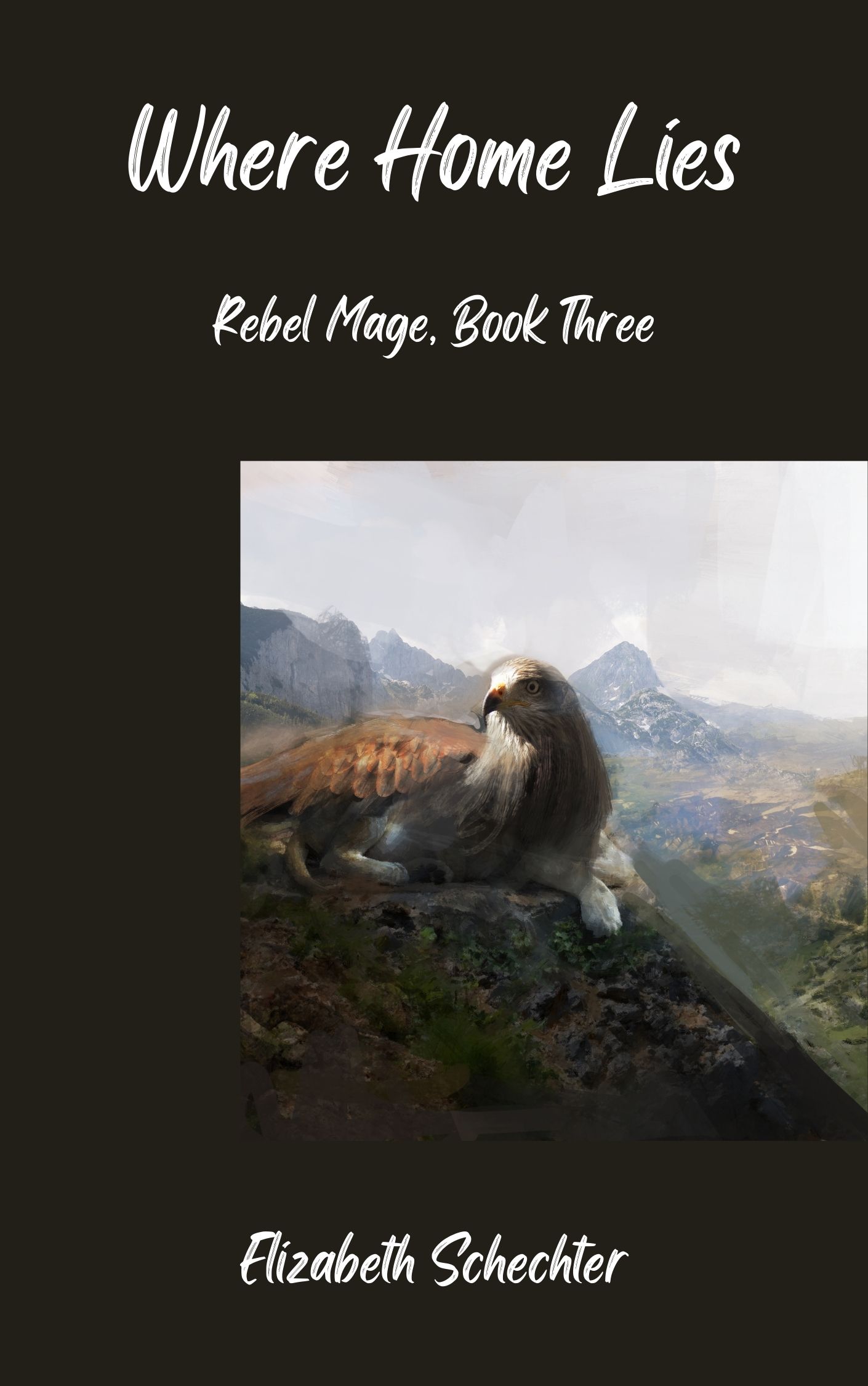 Where Home Lies by Elizabeth Schechter | Goodreads