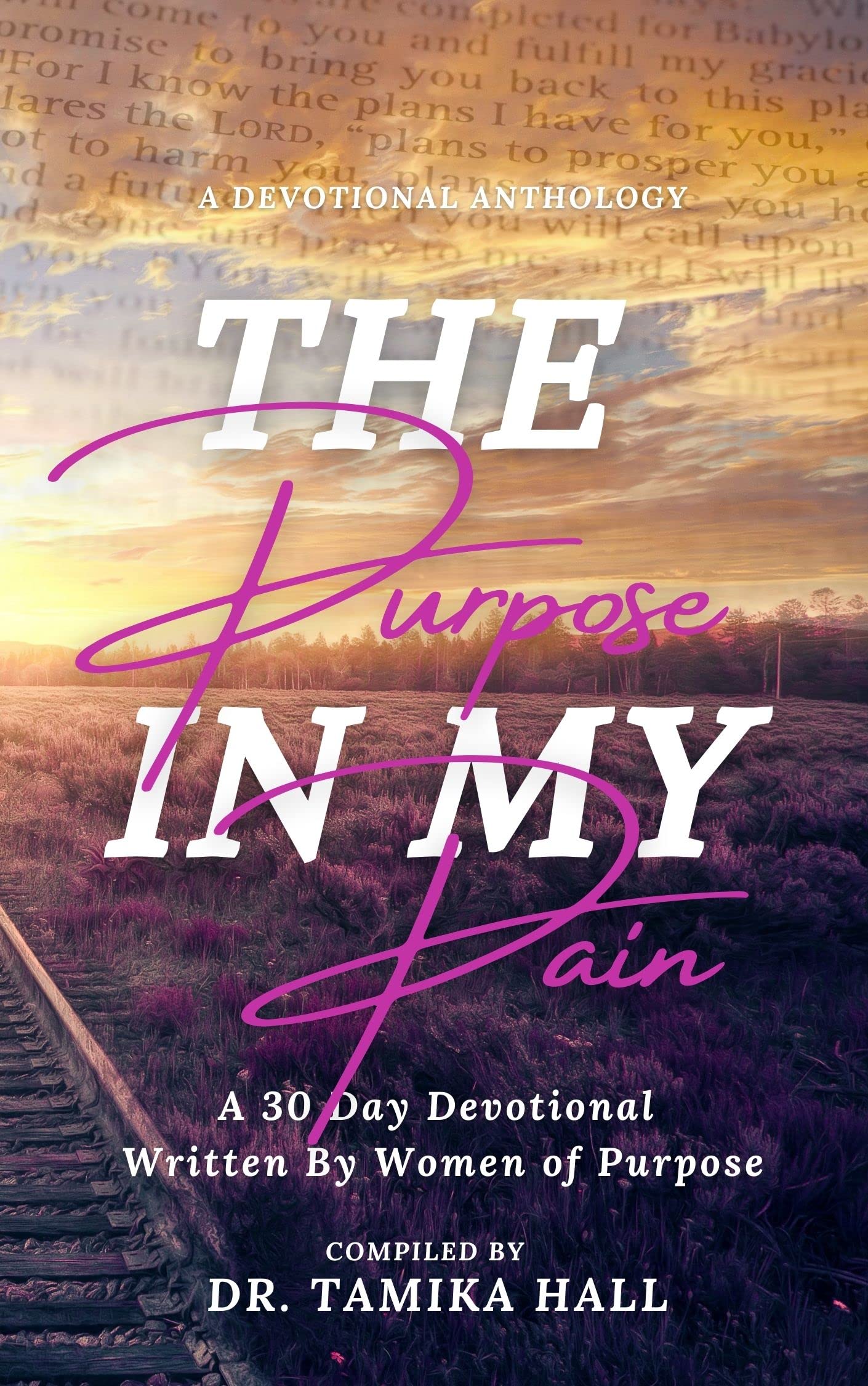 The Purpose In My Pain: A 28-Day Devotional Written By Women of Purpose ...