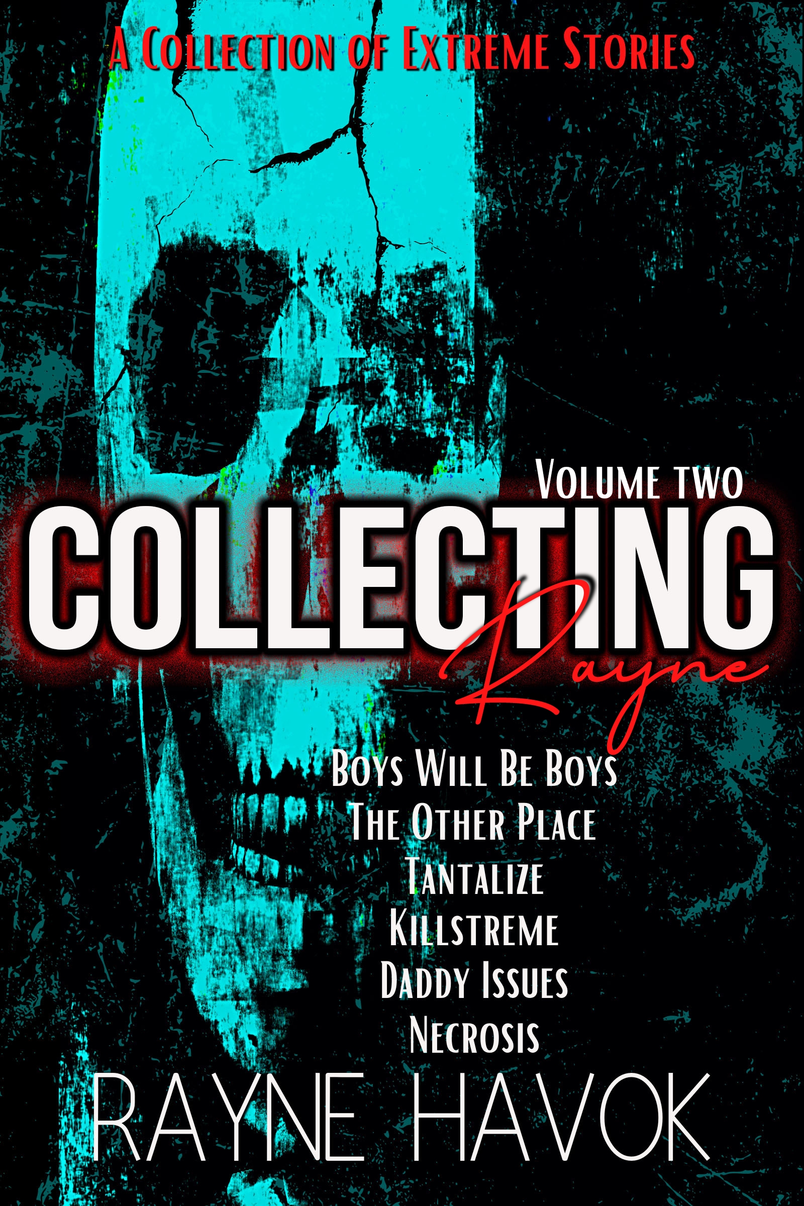 Collecting Rayne Volume 2 by Rayne Havok | Goodreads