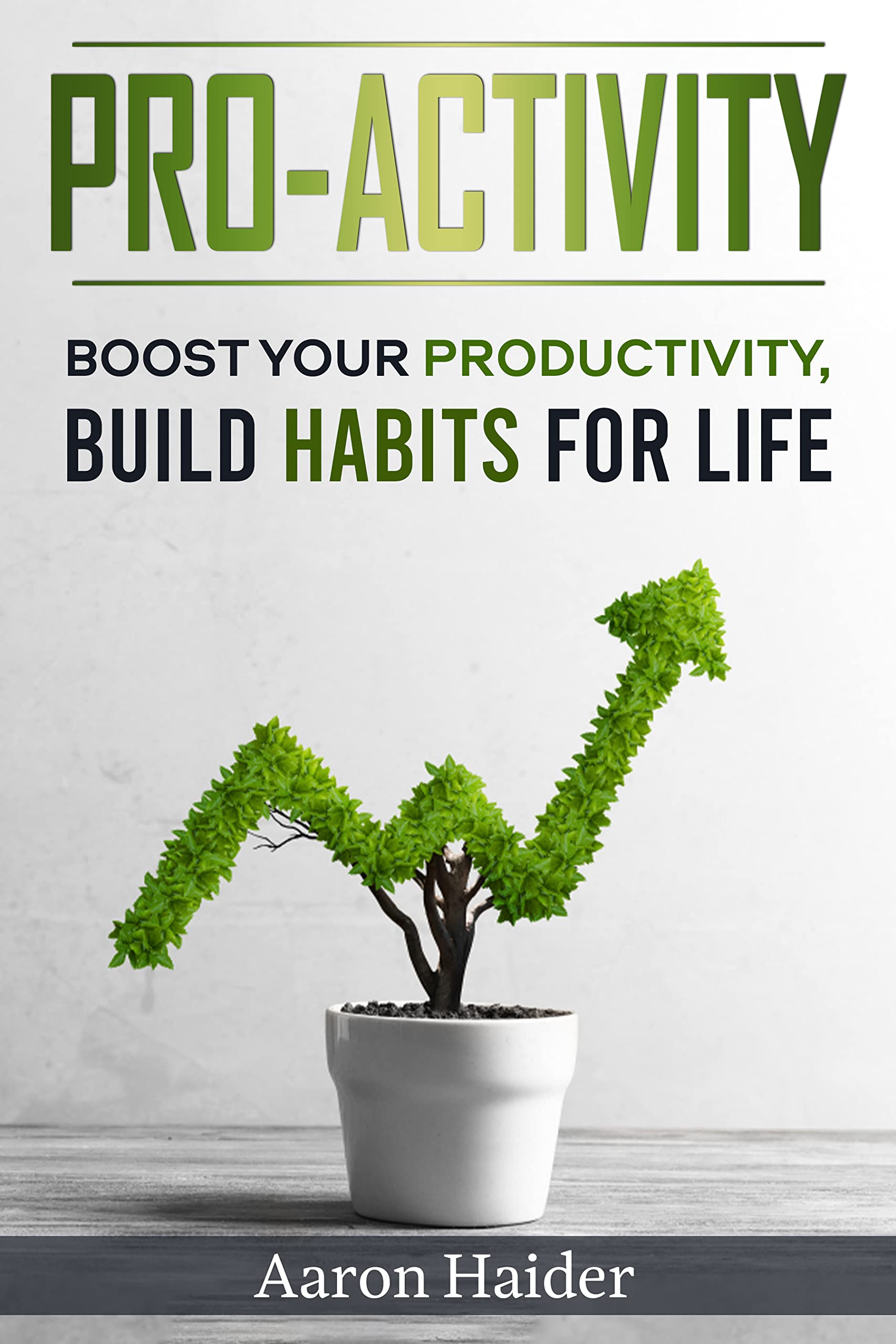 PRO-ACTIVITY: BOOST YOUR PRODUCTIVITY, BUILD HABITS FOR LIFE by Aaron ...