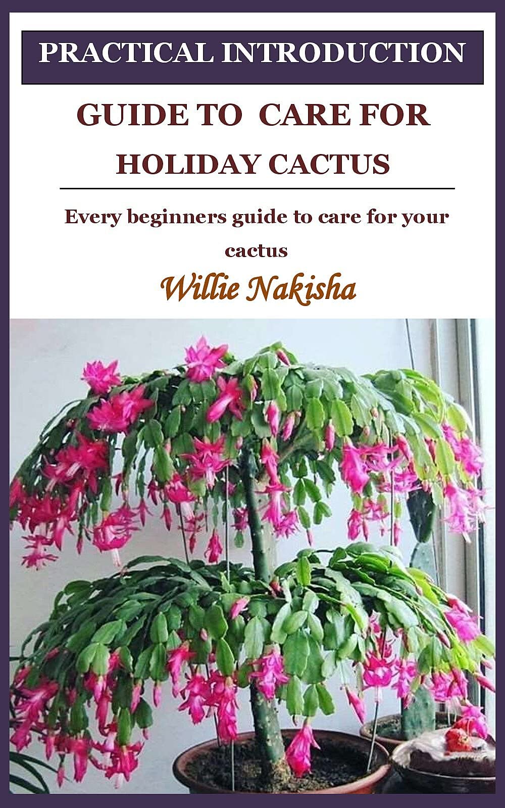 PRACTICAL INTRODUCTION GUIDE TO CARE FOR HOLIDAY CACTUS: Every ...