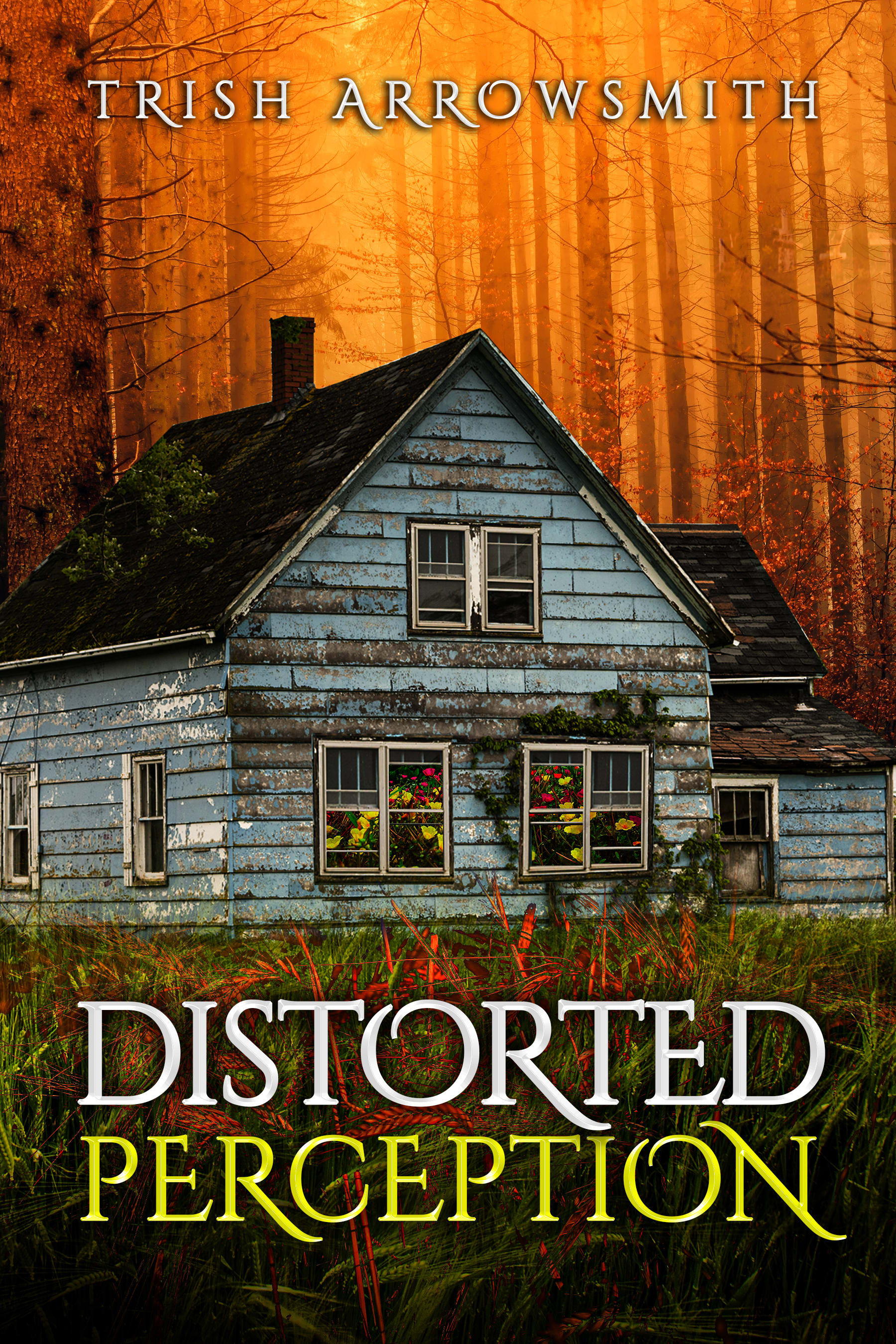 Distorted Perception (Altered Views, #1) by Trish Arrowsmith | Goodreads
