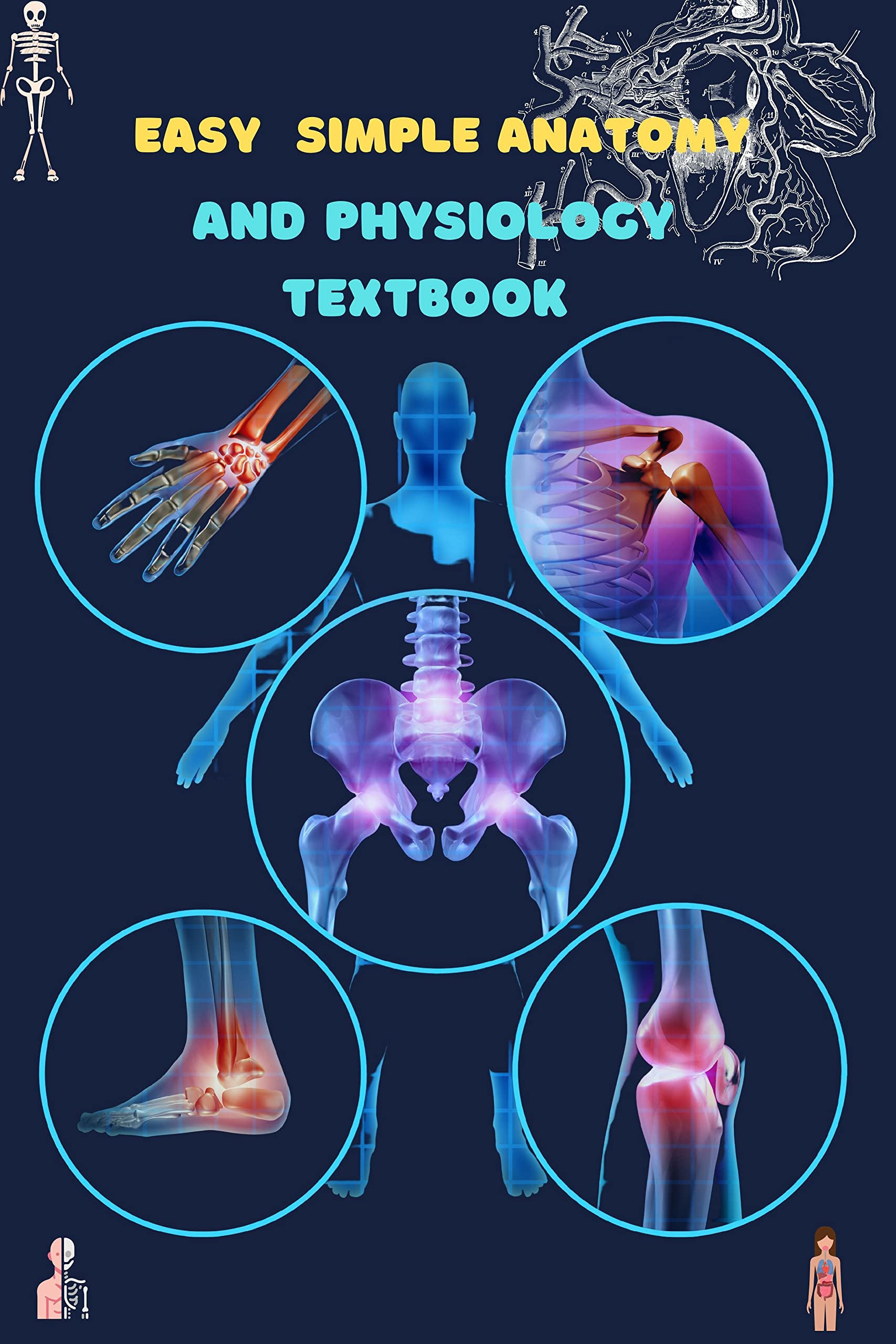 Easy Simple Anatomy And Physiology Textbook : Medical Activity Book on ...