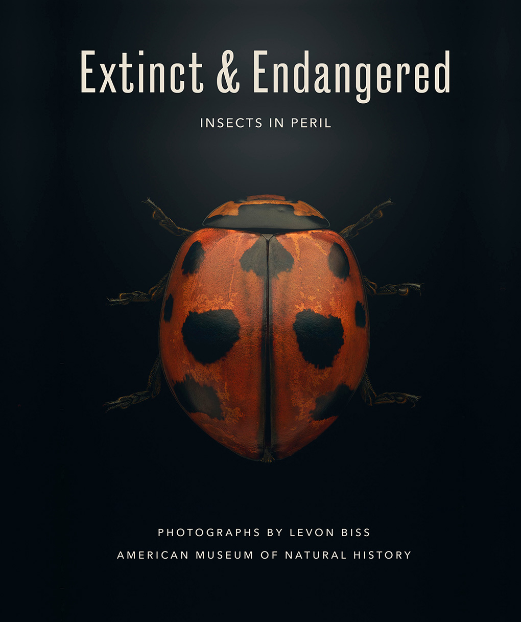 Extinct & Endangered: Insects in Peril by American Museum of Natural ...
