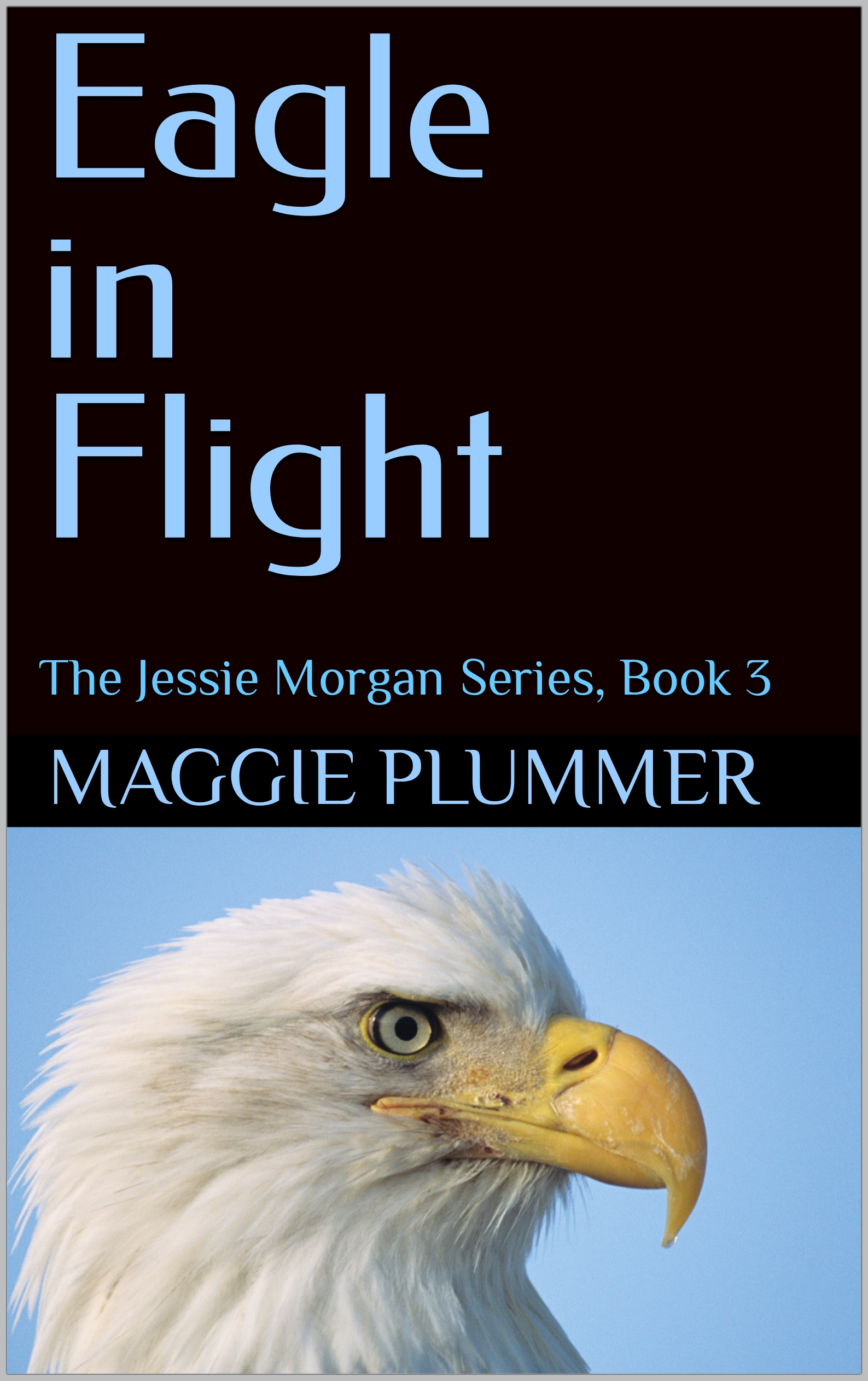Eagle in Flight (The Jessie Morgan Series, #3) by Maggie Plummer ...