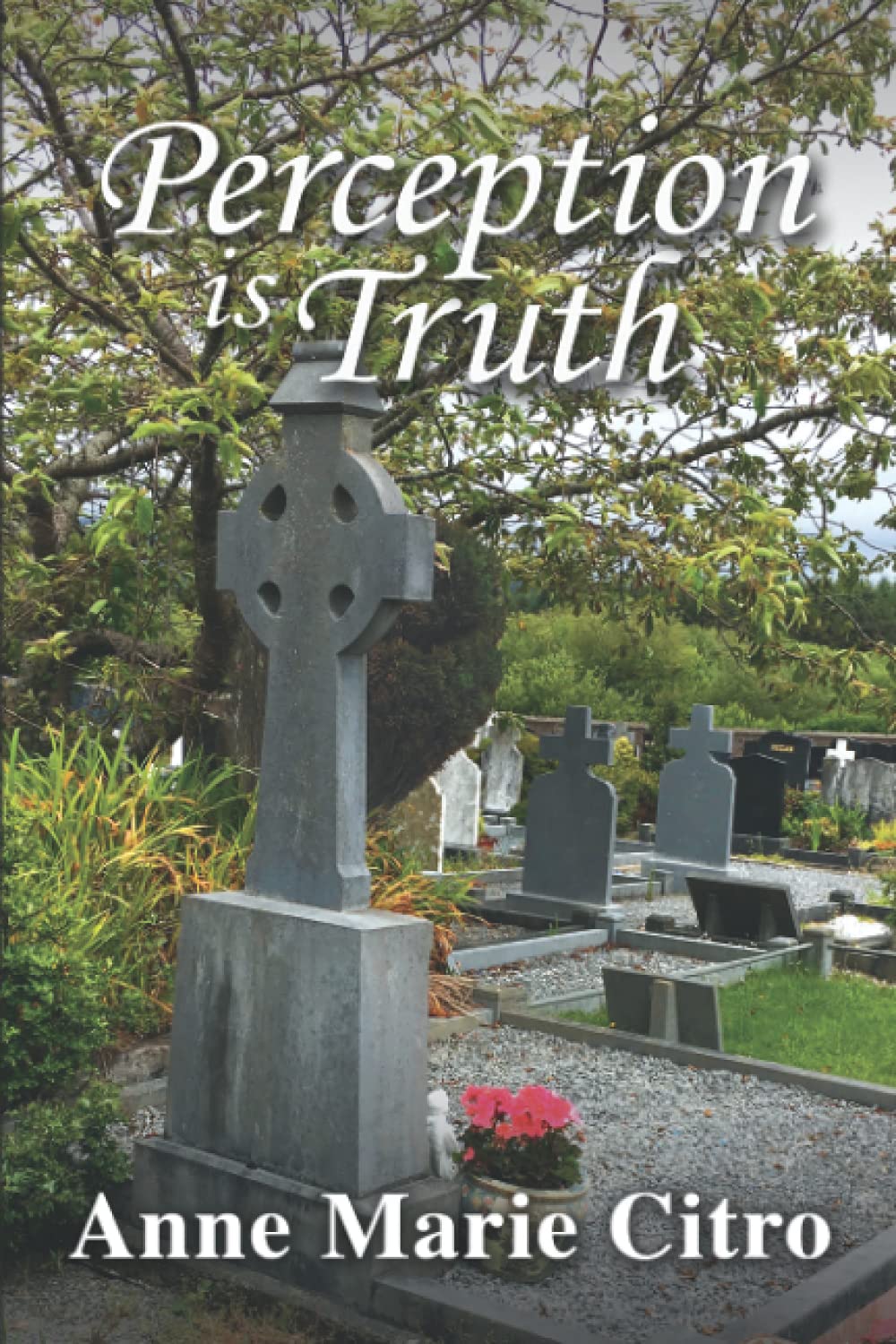 Perception is Truth by Anne Marie Citro | Goodreads