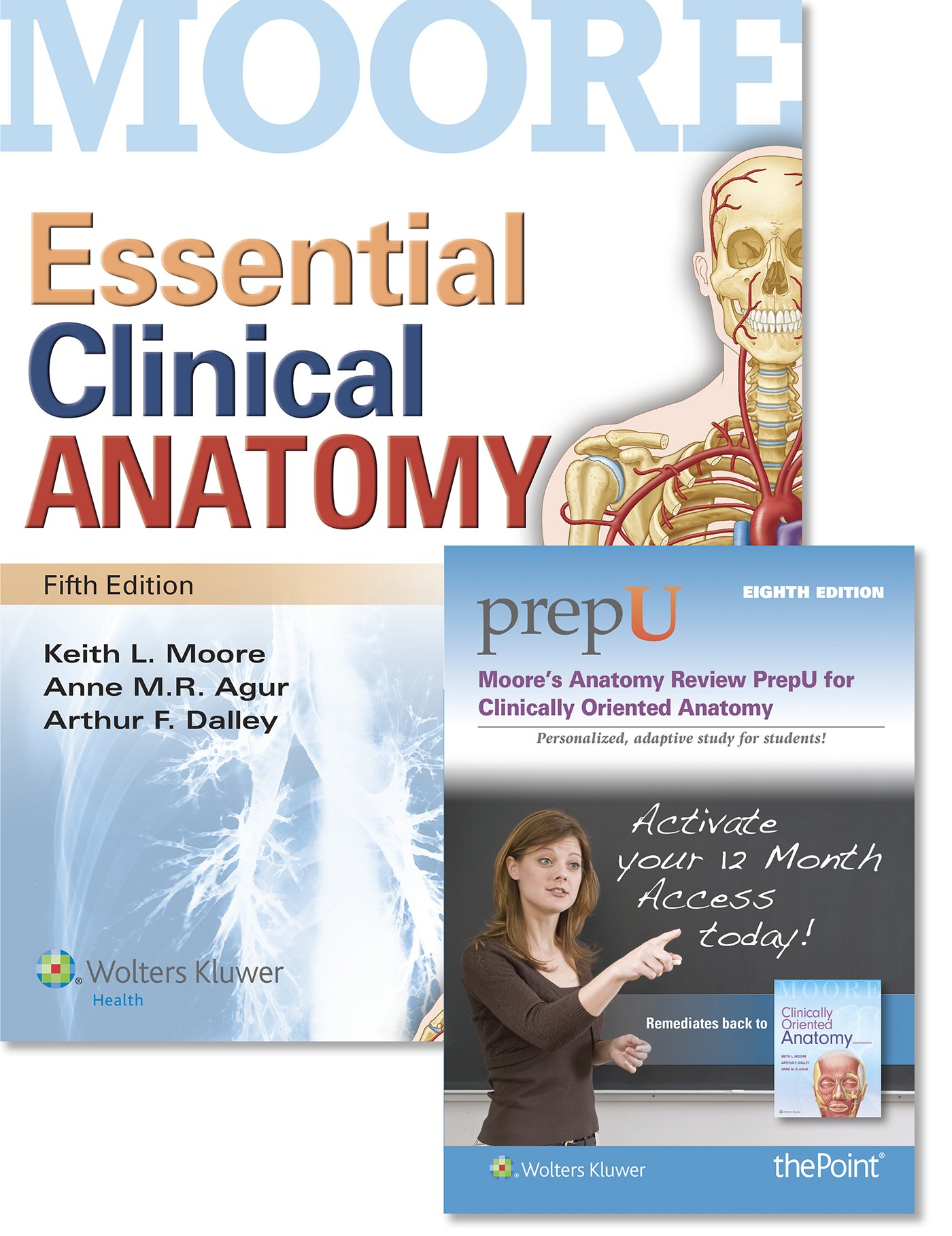 Essential Clinical Anatomy by Keith L. Moore | Goodreads