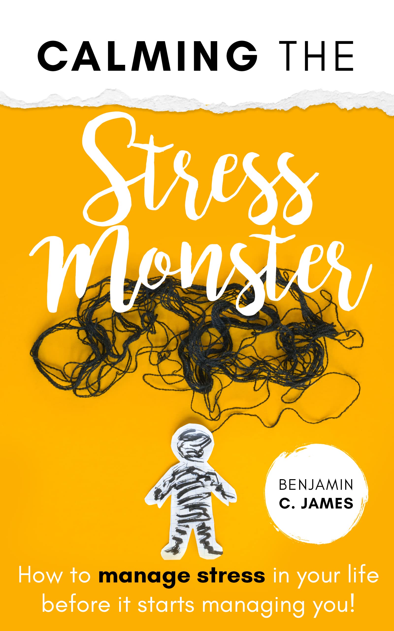 Calming the Stress Monster: How to manage stress in your life before it ...