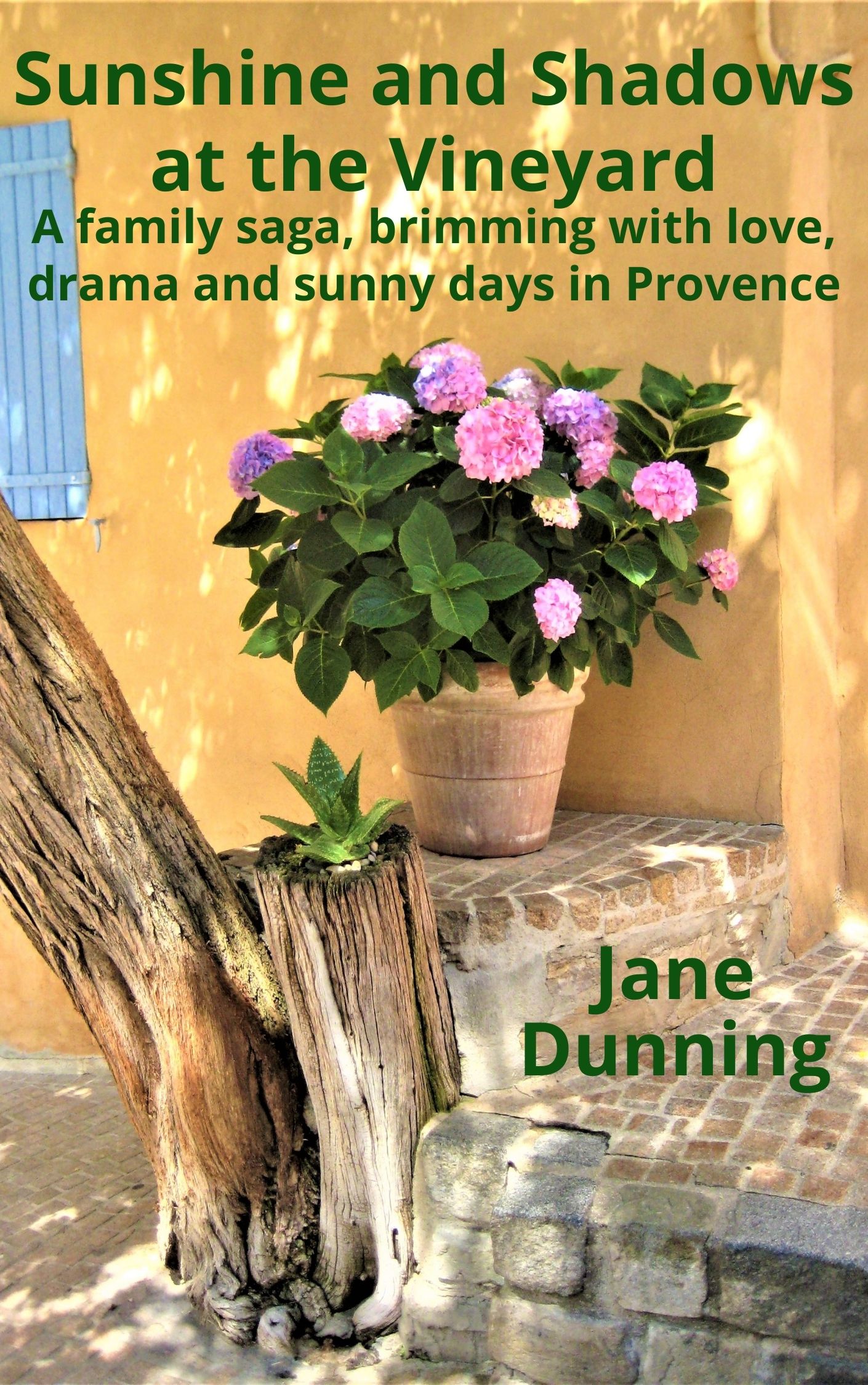 Sunshine and Shadows at the Vineyard by Jane Dunning | Goodreads