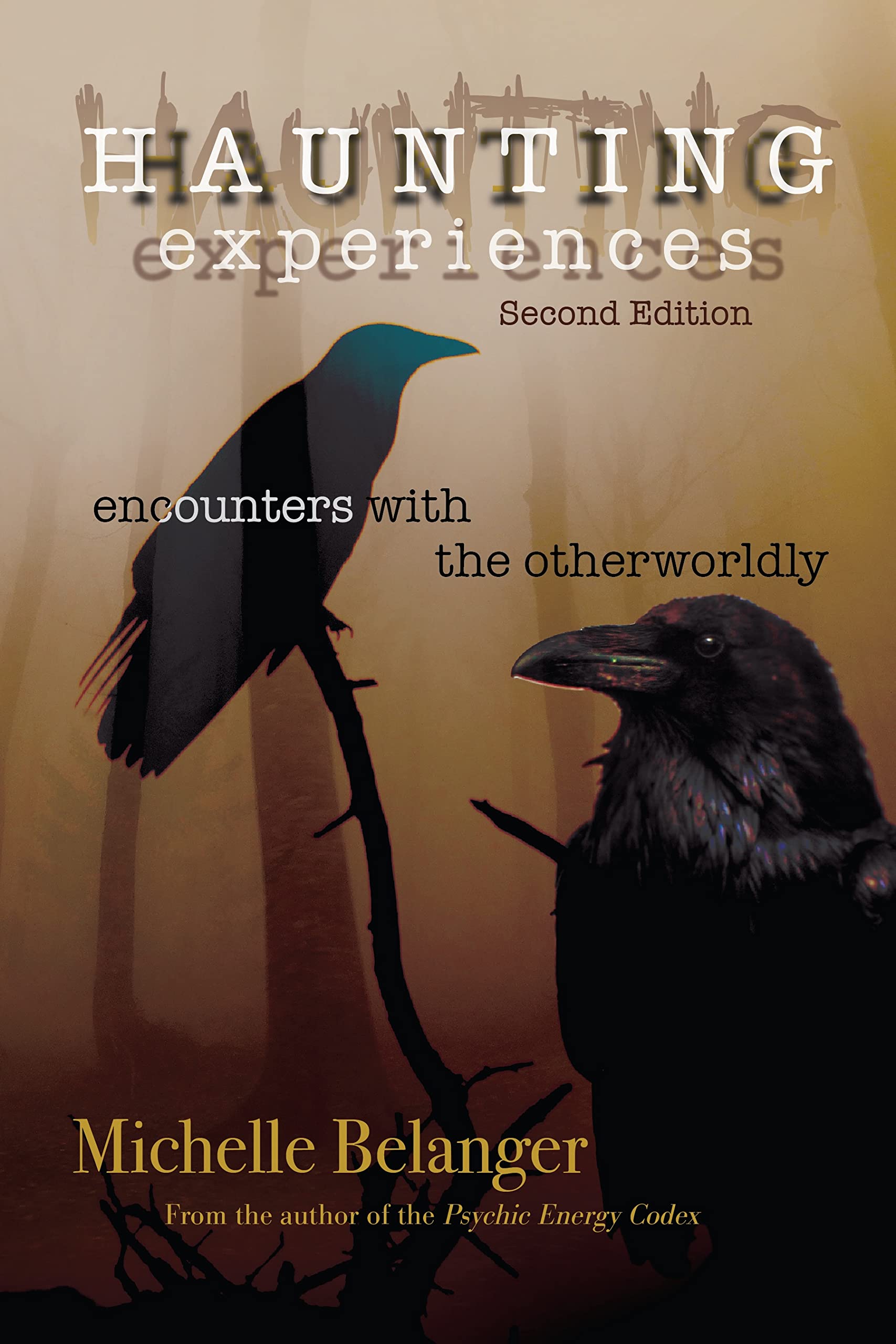 Haunting Experiences: encounters with the otherworldly by Michelle Belanger | Goodreads