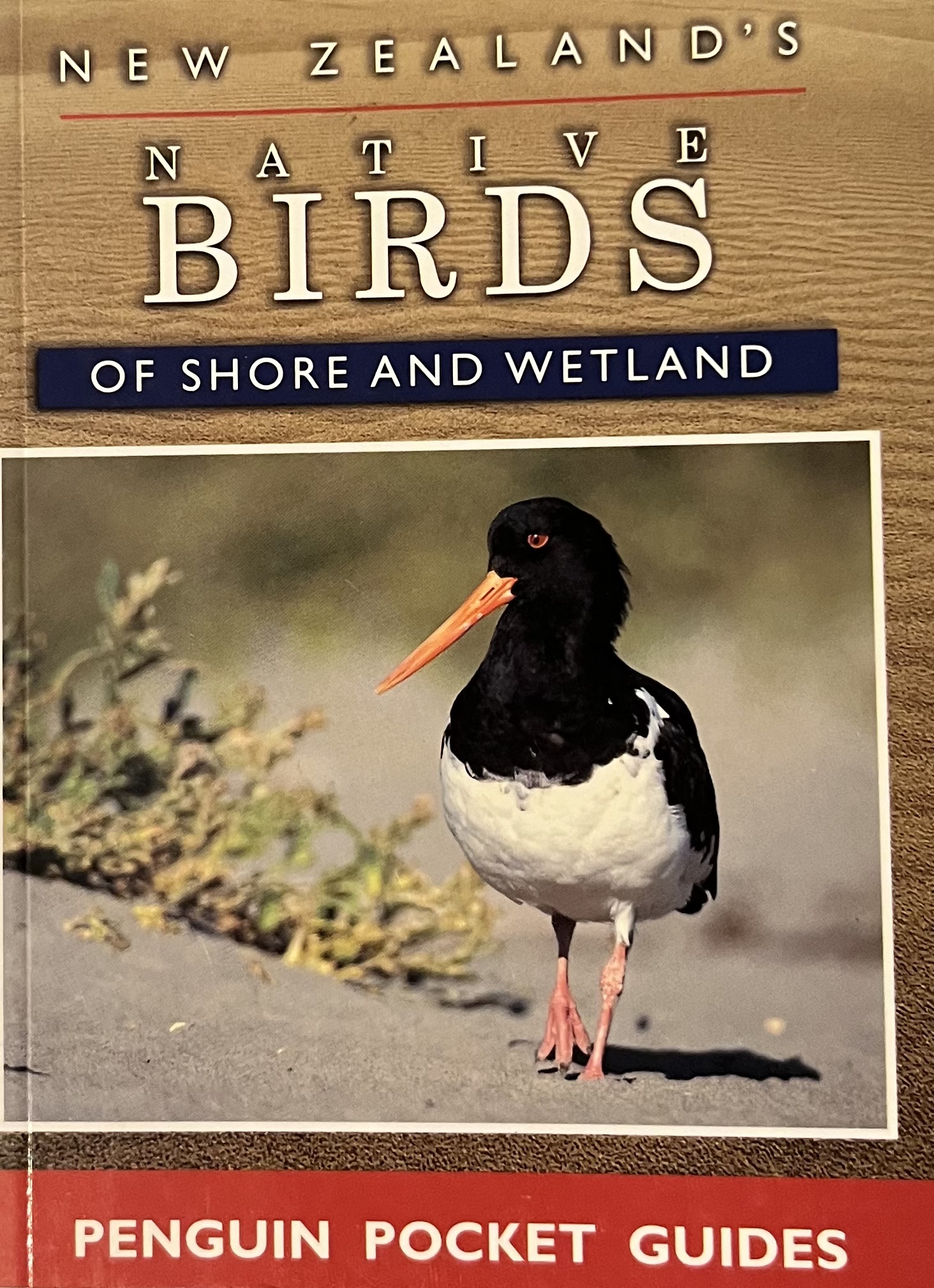 New Zealand’s Native Birds of Shore and Wetland by Ralph Powlesland ...