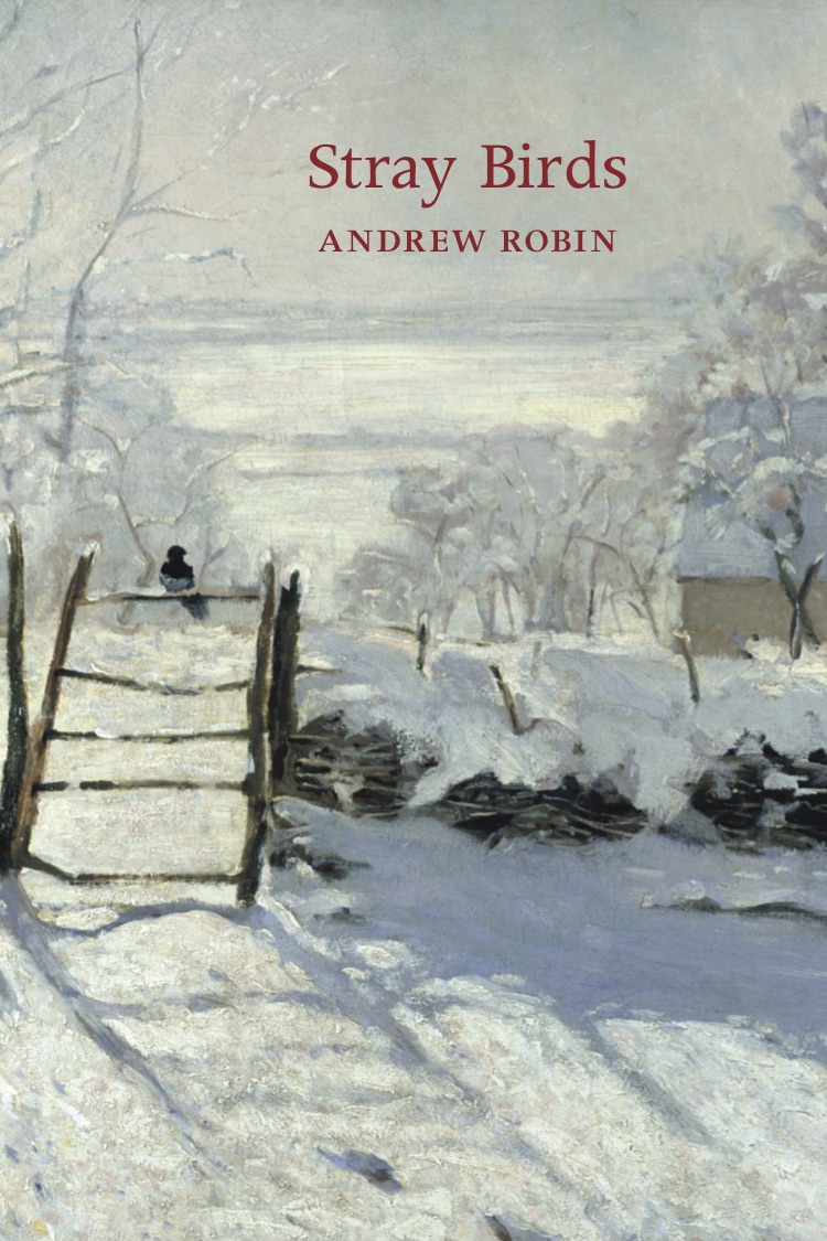Stray Birds by Andrew Robin | Goodreads