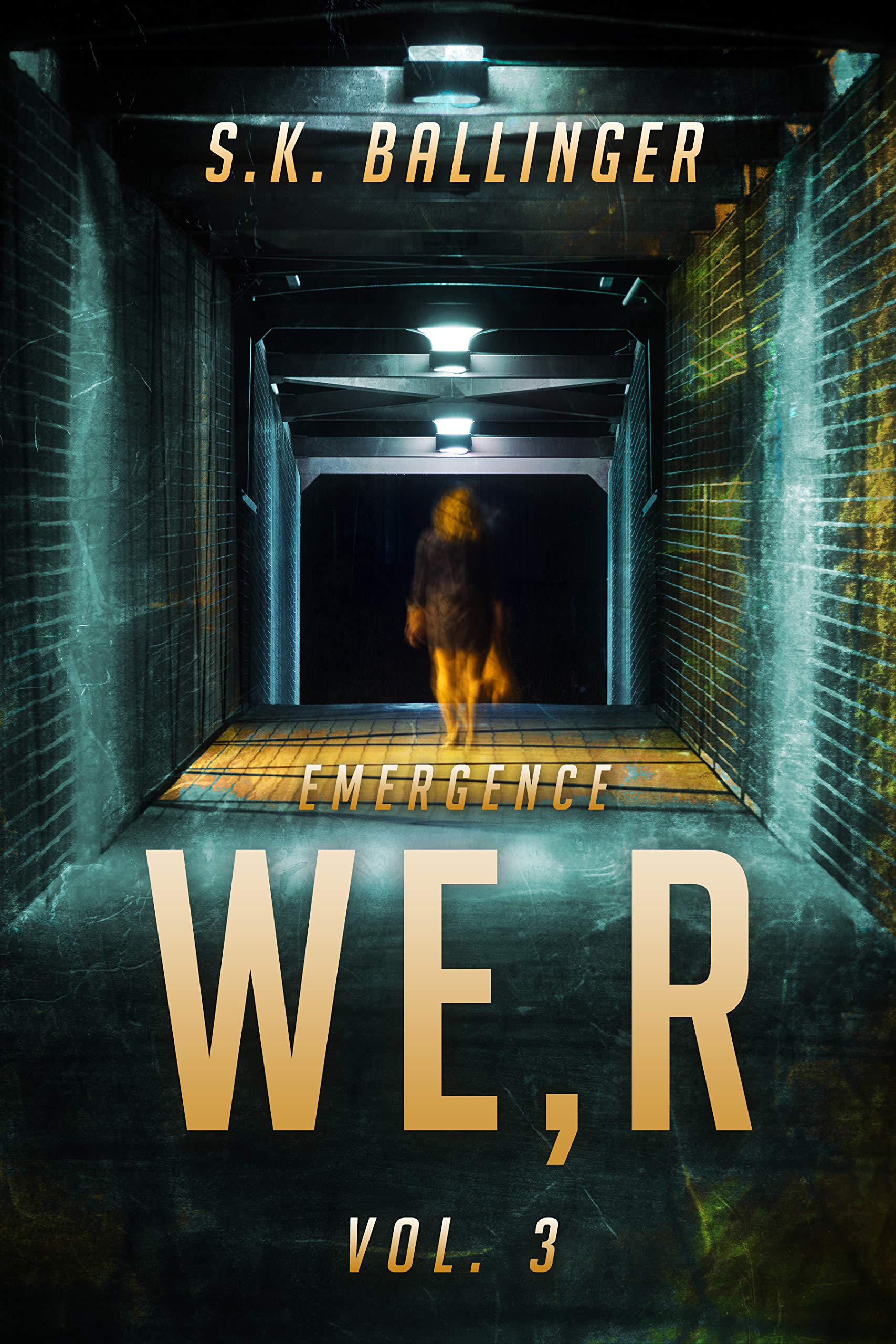 We, R Vol.3 by S.K. Ballinger | Goodreads