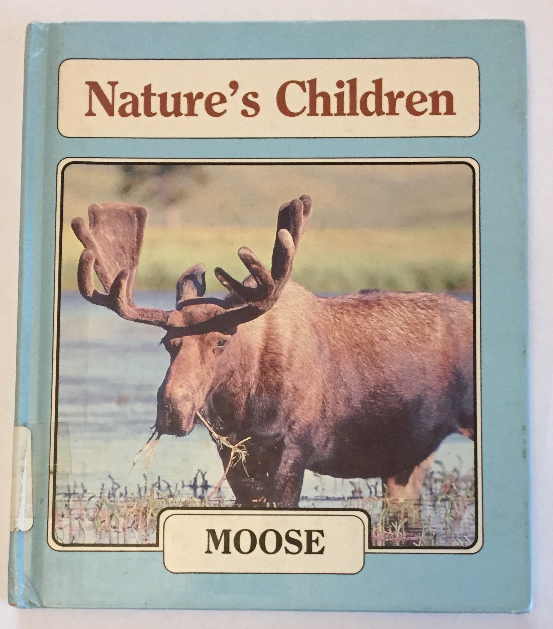 Getting to Know Nature's Children: Moose & Downy Woodpecker by Judy ...
