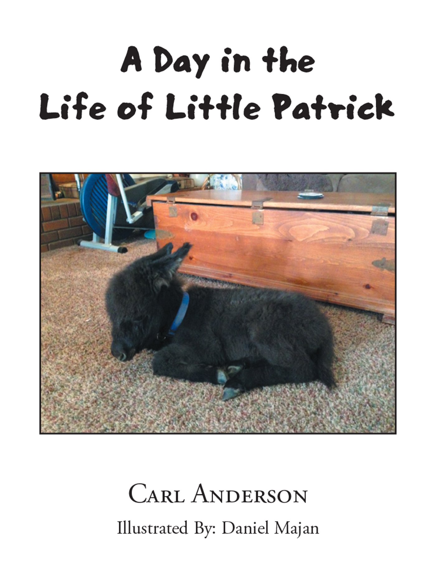 A Day in the Life of Little Patrick by Carl Anderson | Goodreads