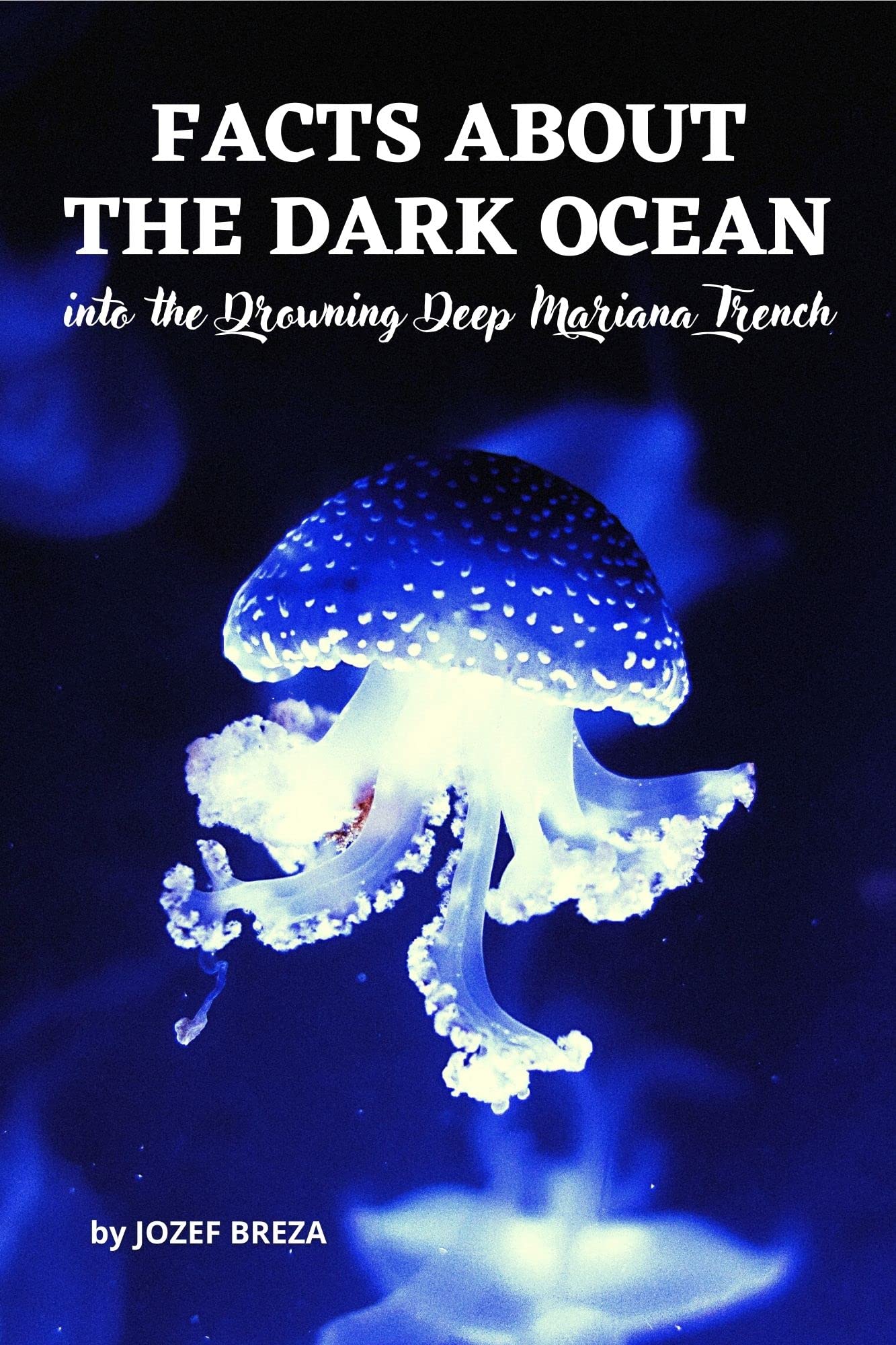 Facts about the dark ocean: into the Drowning Deep Mariana Trench by ...
