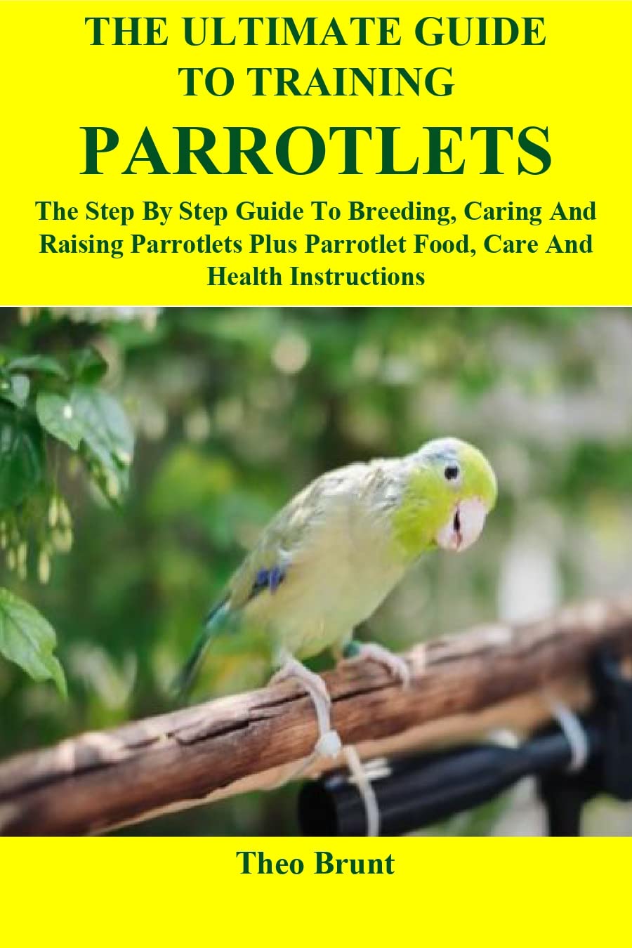 The Ultimate Guide To Training Parrotlets: The Step By Step Guide To ...