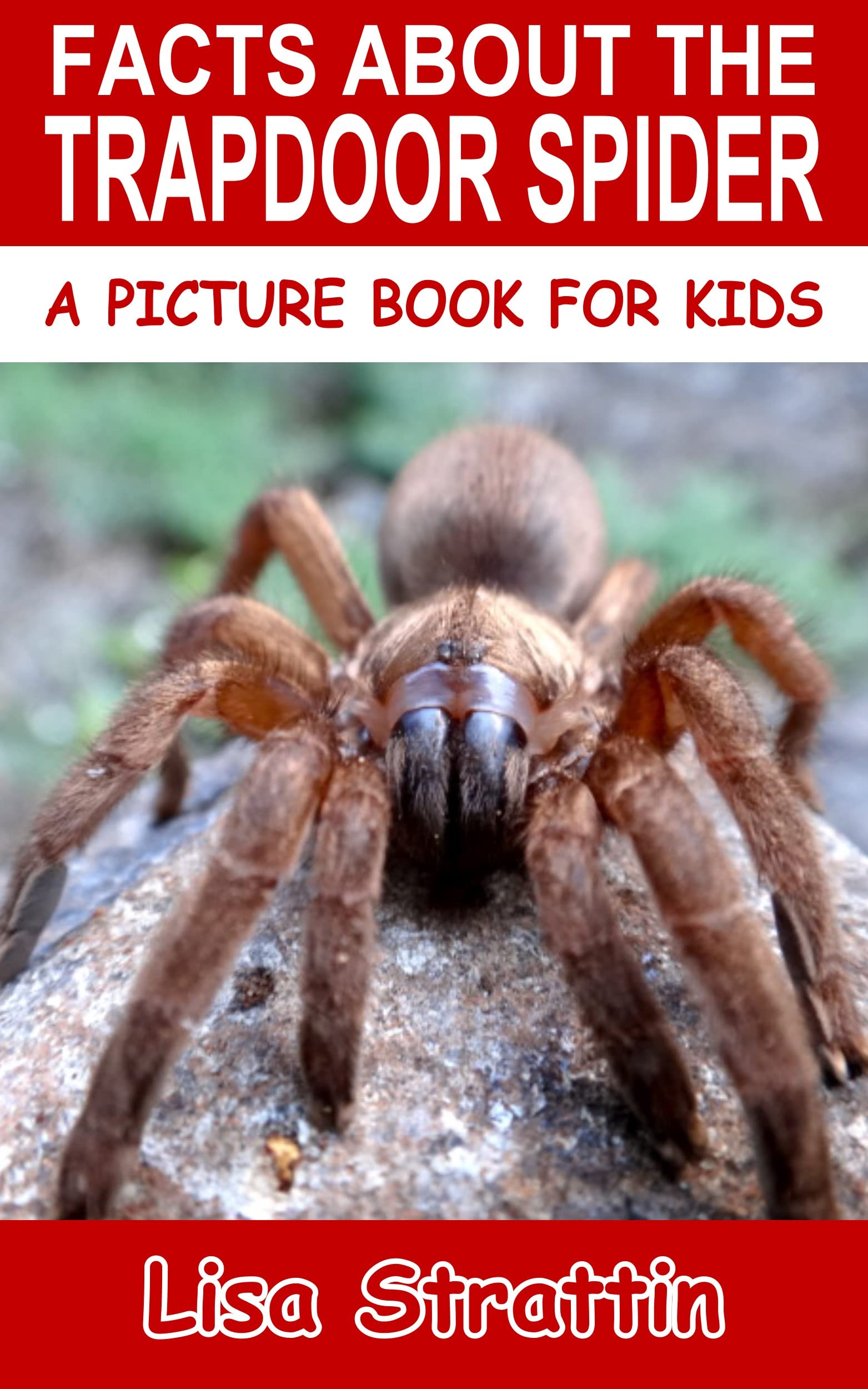 Facts About the Trapdoor Spider by Lisa Strattin | Goodreads