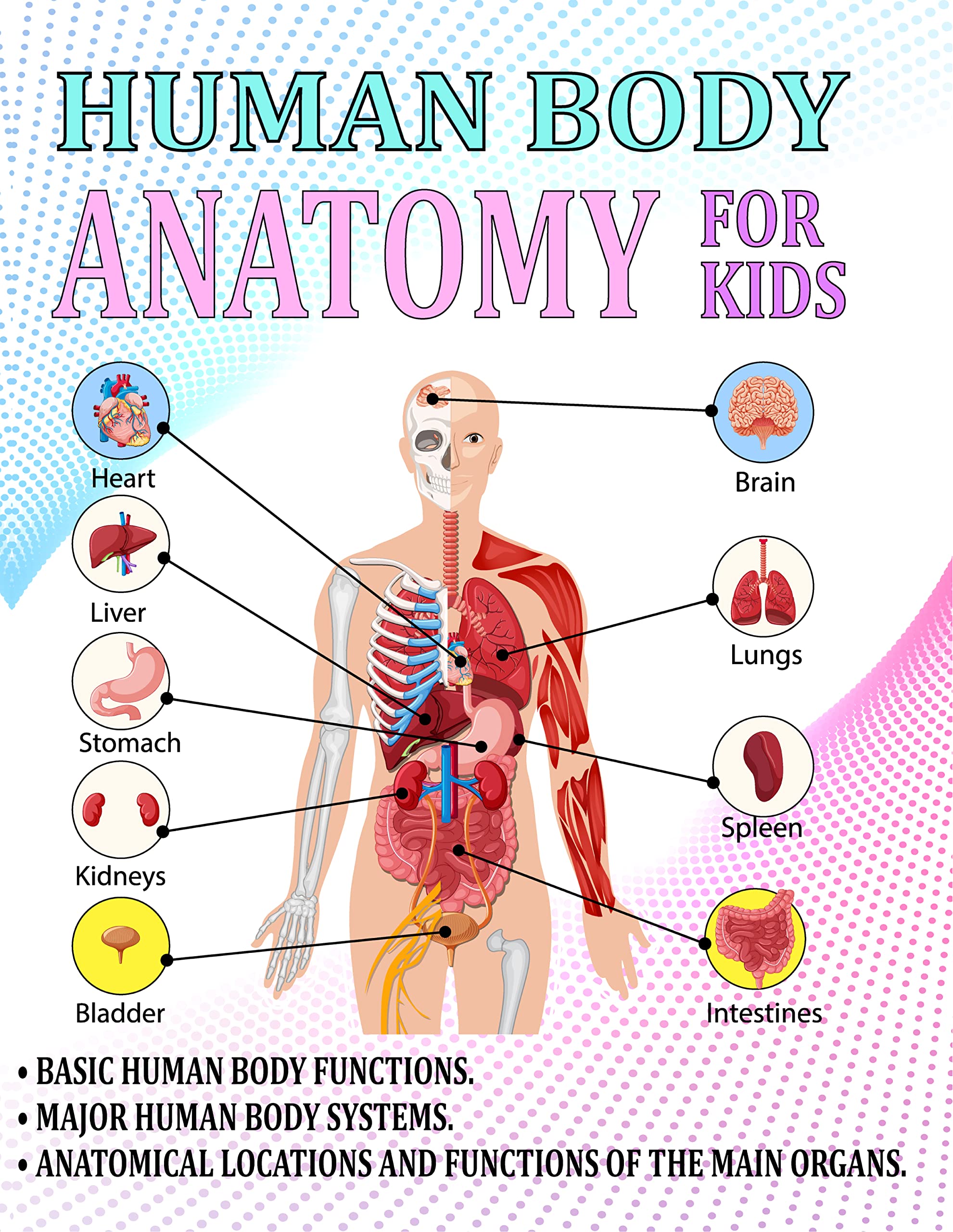 HUMAN BODY ANATOMY FOR KIDS.: • A Scientist's Guide to How do our part ...