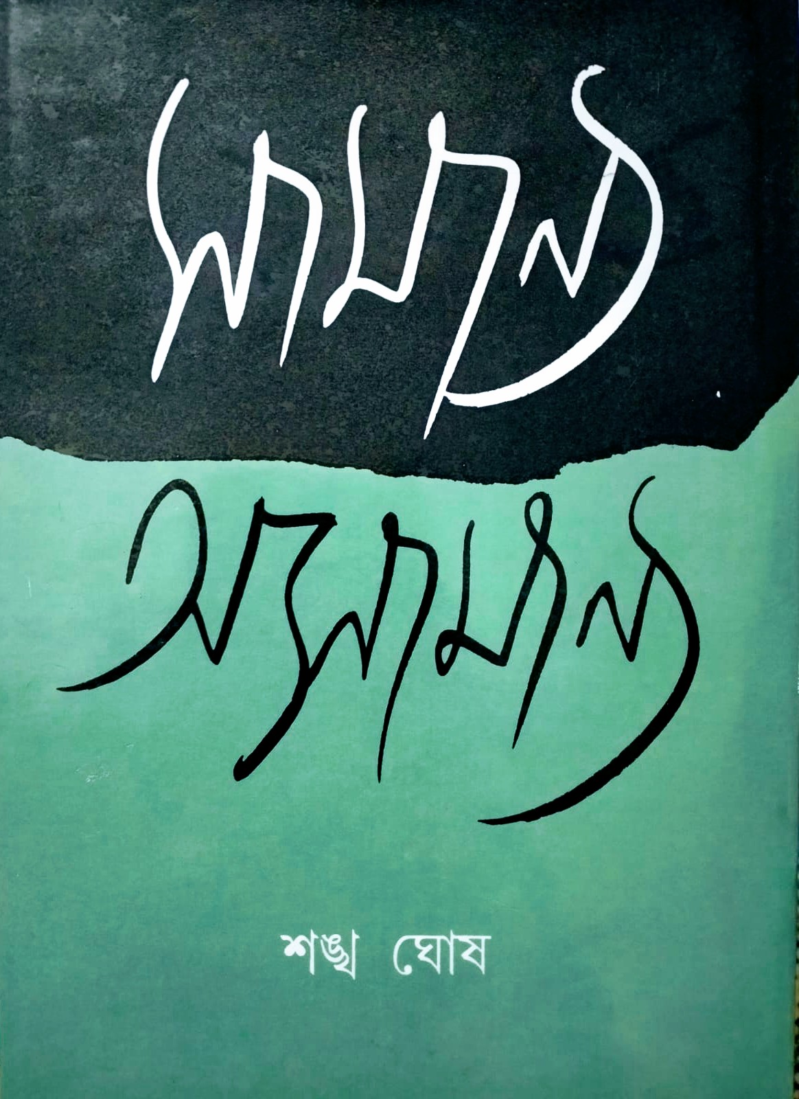সামান্য অসামান্য by Shankha Ghosh | Goodreads