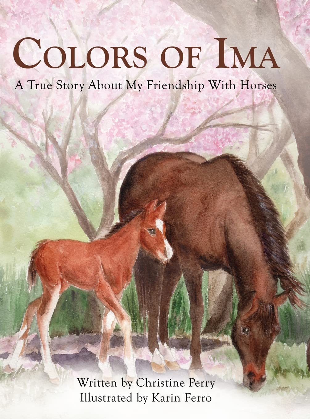 Colors of Ima: A True Story About My Friendship With Horses by ...
