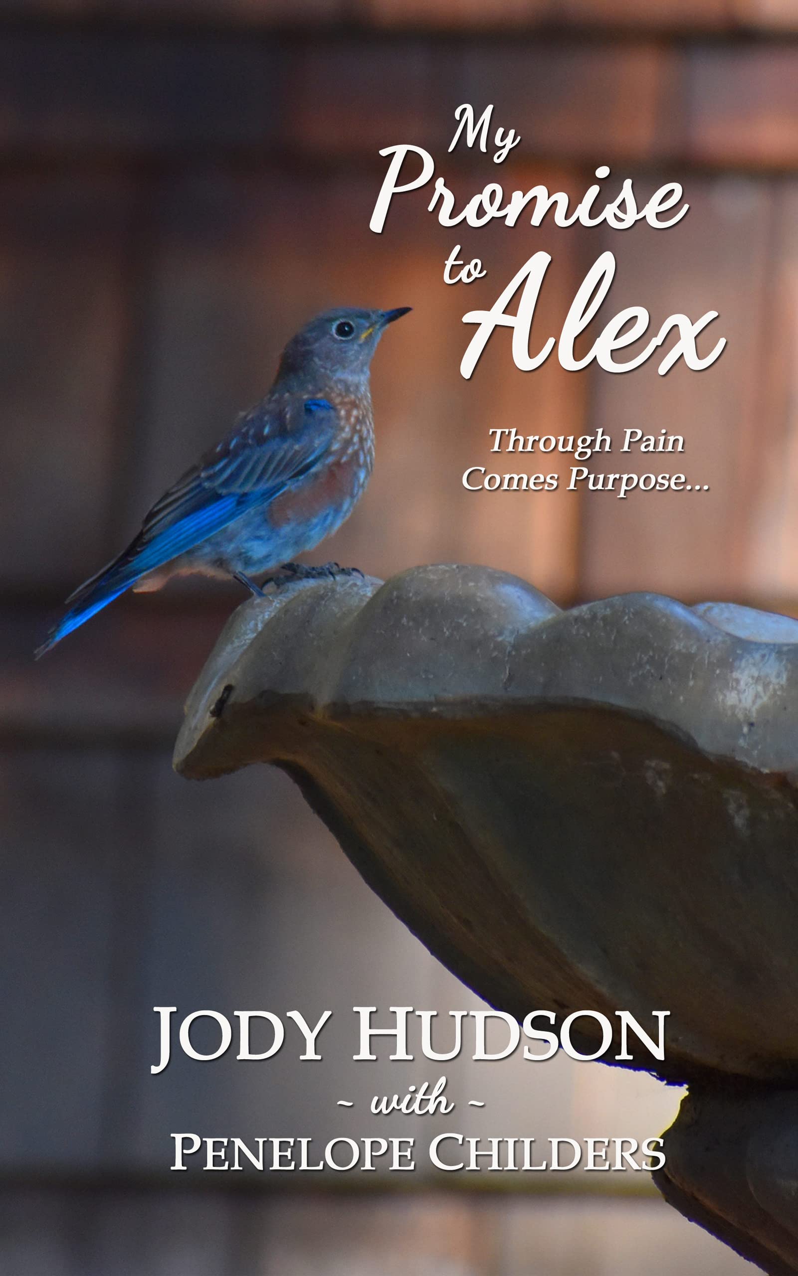 My Promise to Alex by Jody Hudson | Goodreads