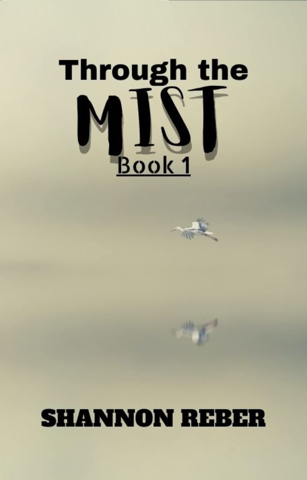 Through the Mist (Through the Mist Series Book 1) by Shannon Reber ...