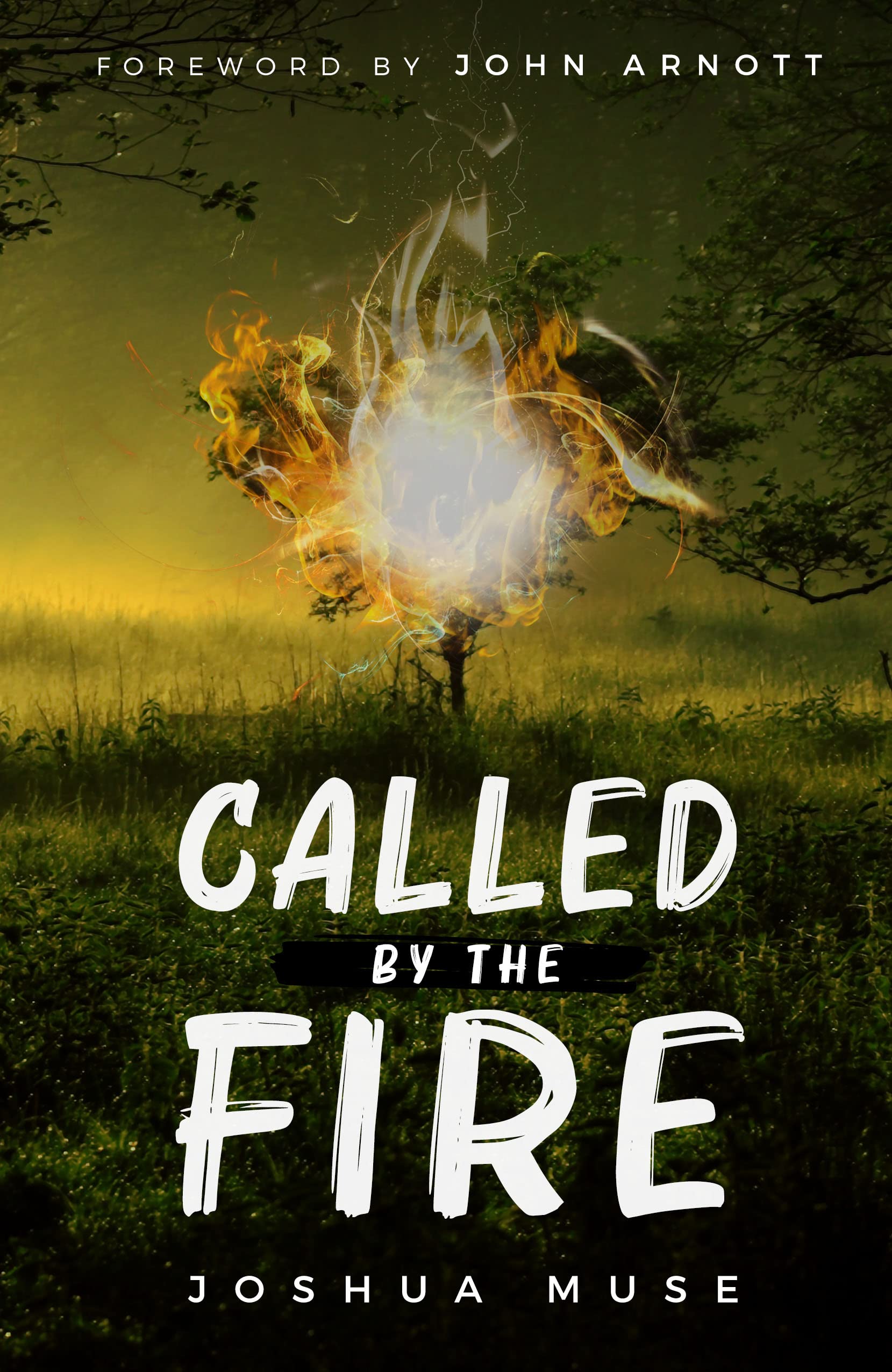 Called by the Fire by Joshua Muse | Goodreads