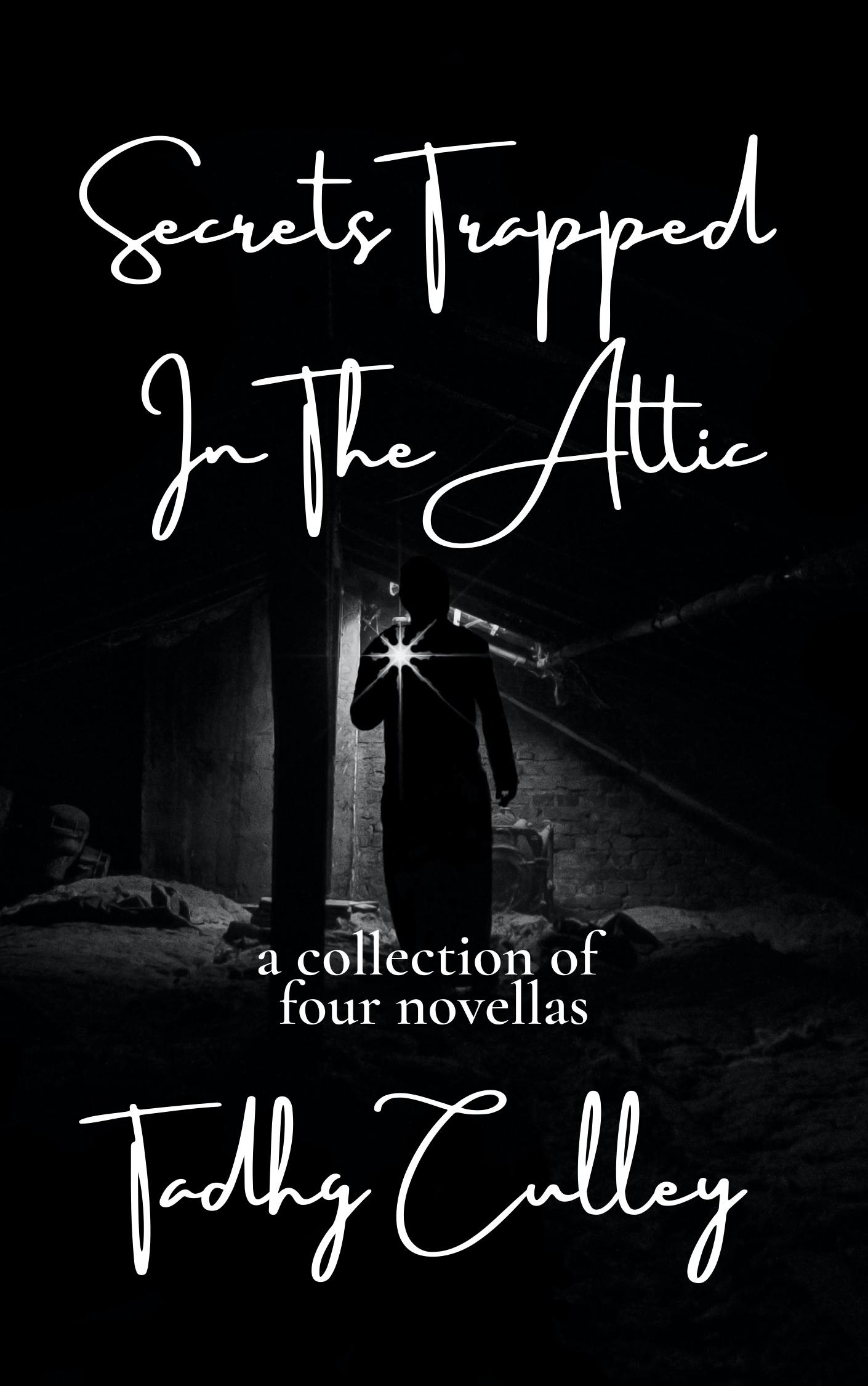 Secrets Trapped In The Attic: A Collection Of Four Novellas by Tadhg ...