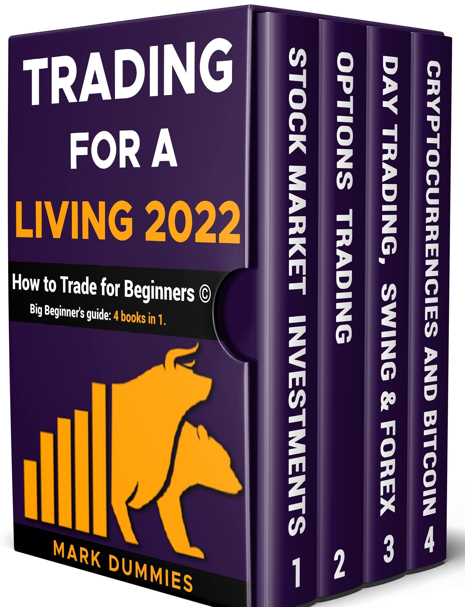 TRADING FOR A LIVING 2022: How to Trade for Beginners : Stock Market ...