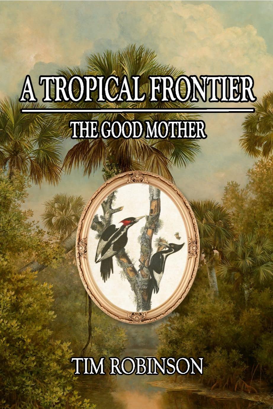 A Tropical Frontier: The Good Mother by Tim Robinson | Goodreads