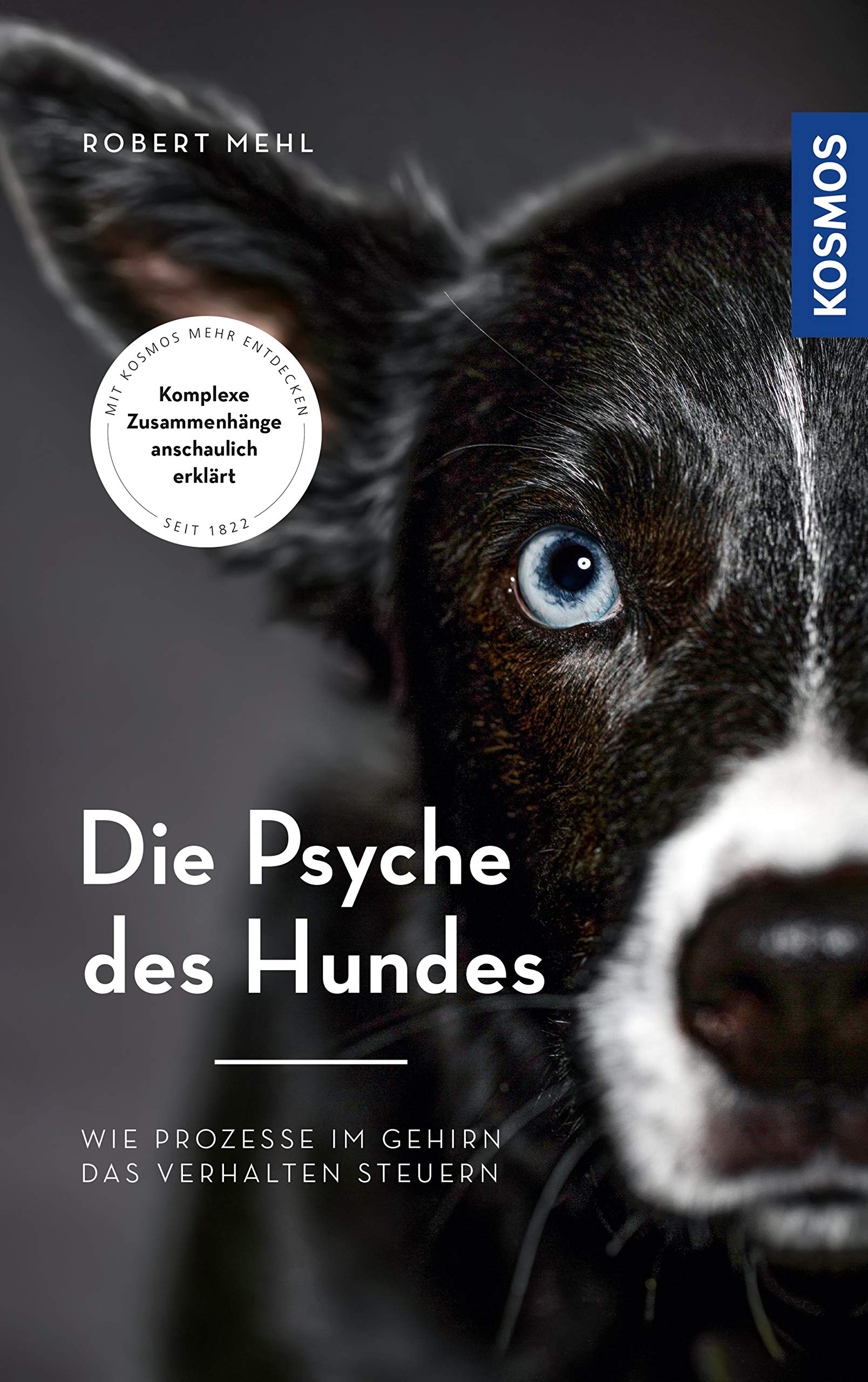Die Psyche des Hundes: Wie Prozesse im Gehirn das Verhalten steuern ...