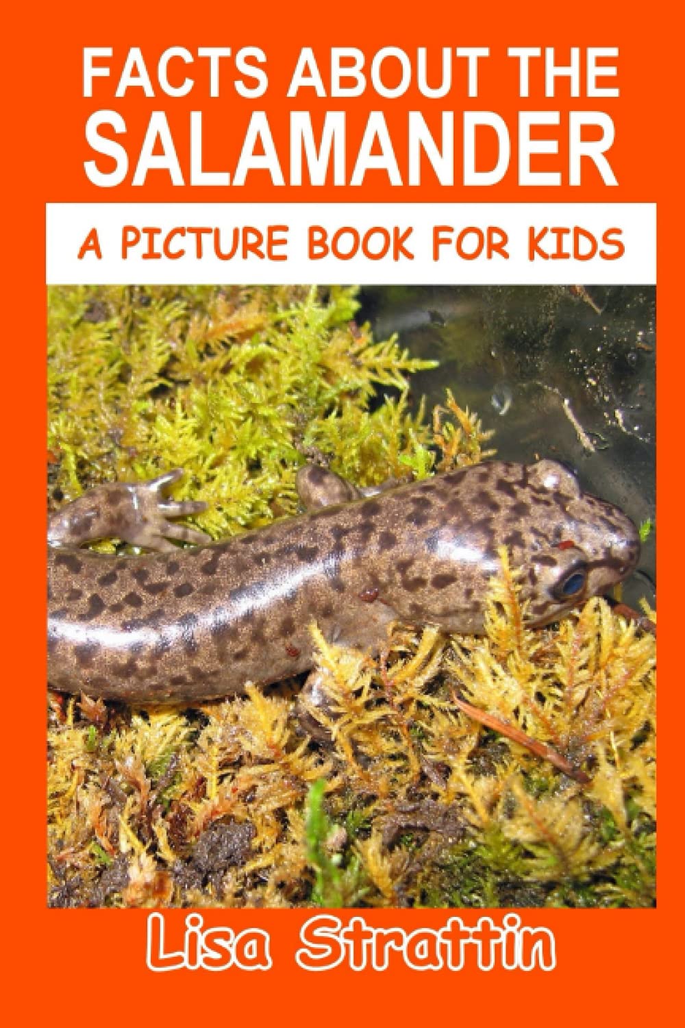 Facts About the Salamander (A Picture Book For Kids) by Lisa Strattin ...