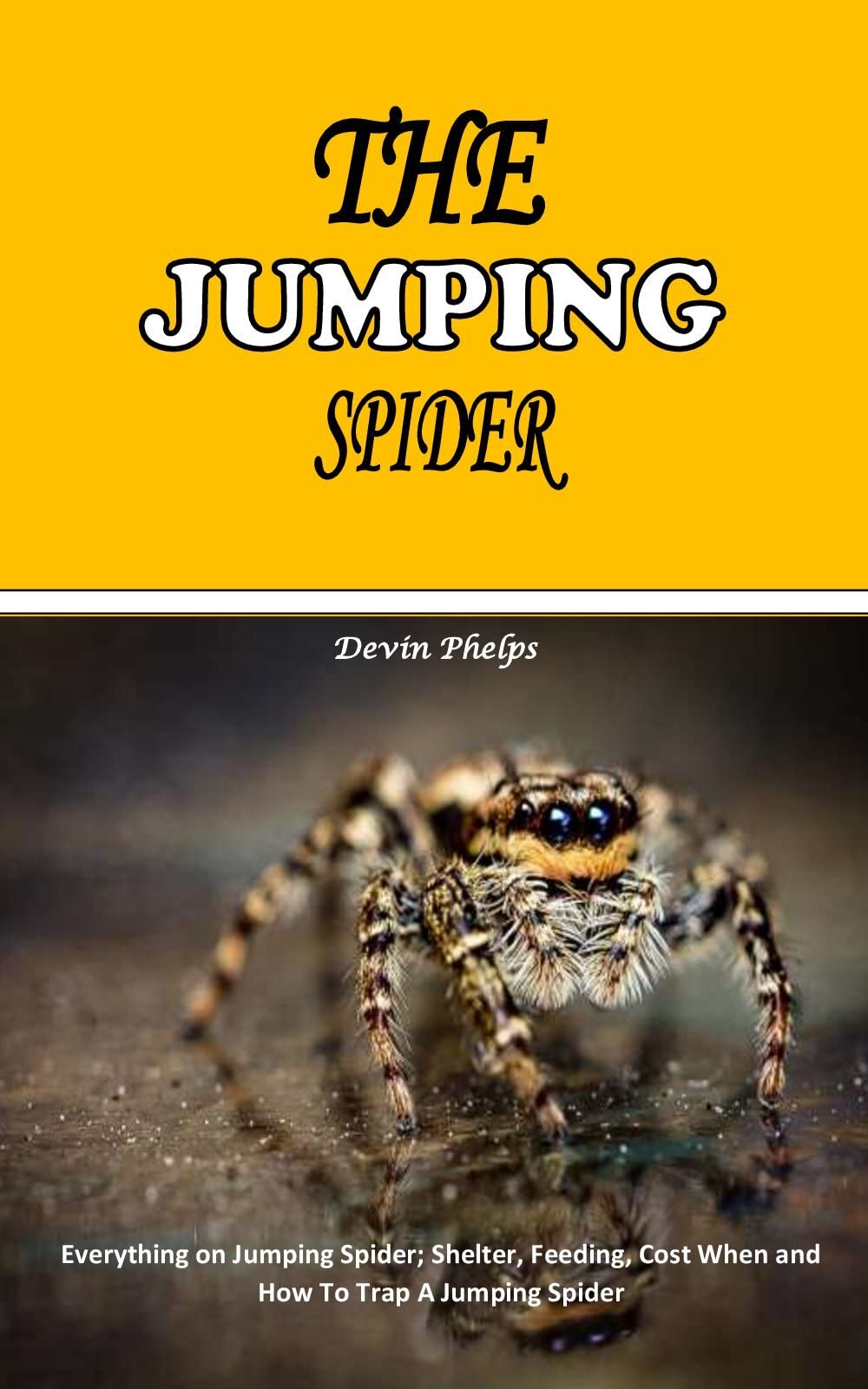 THE JUMPING SPIDER: Everything on Jumping Spider; Shelter, Feeding ...