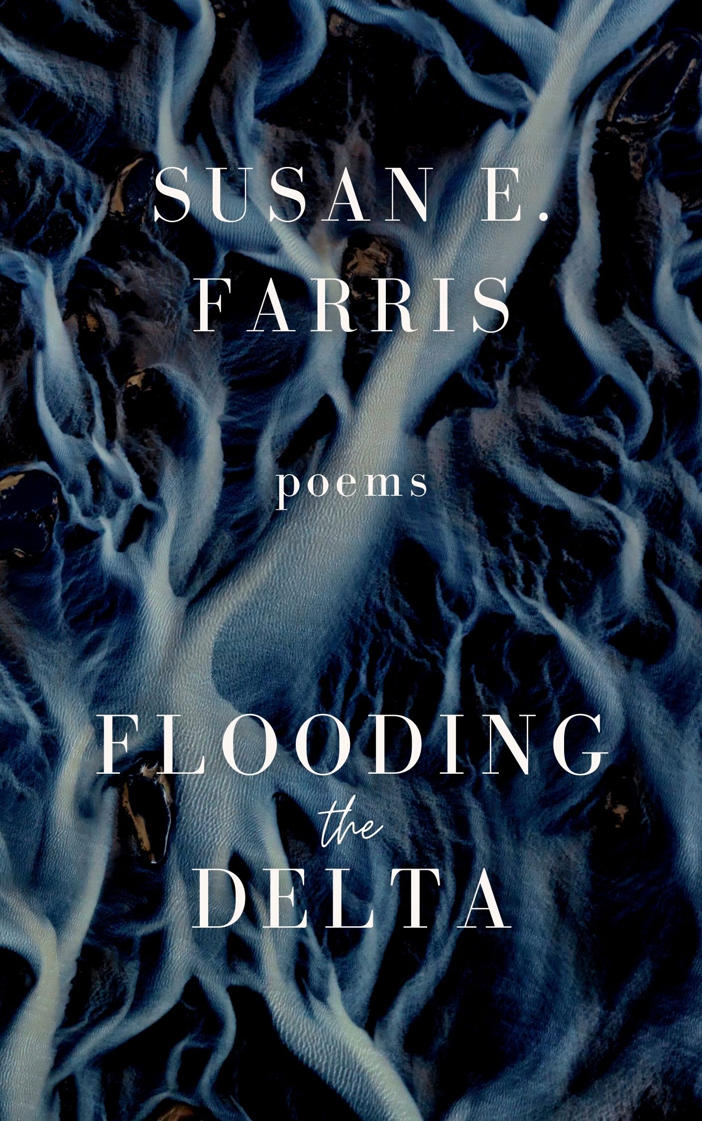 Flooding the Delta: A Journey Through Things Found and Forgotten by ...